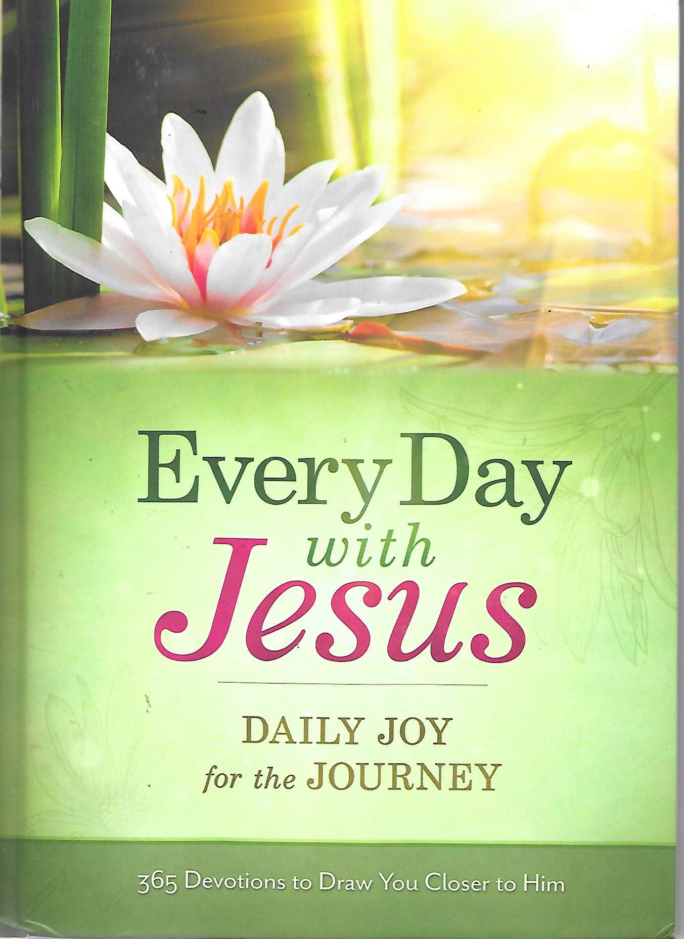 Every Day With Jesus - Daily Joy for the Journey - 365 Devotions to ...