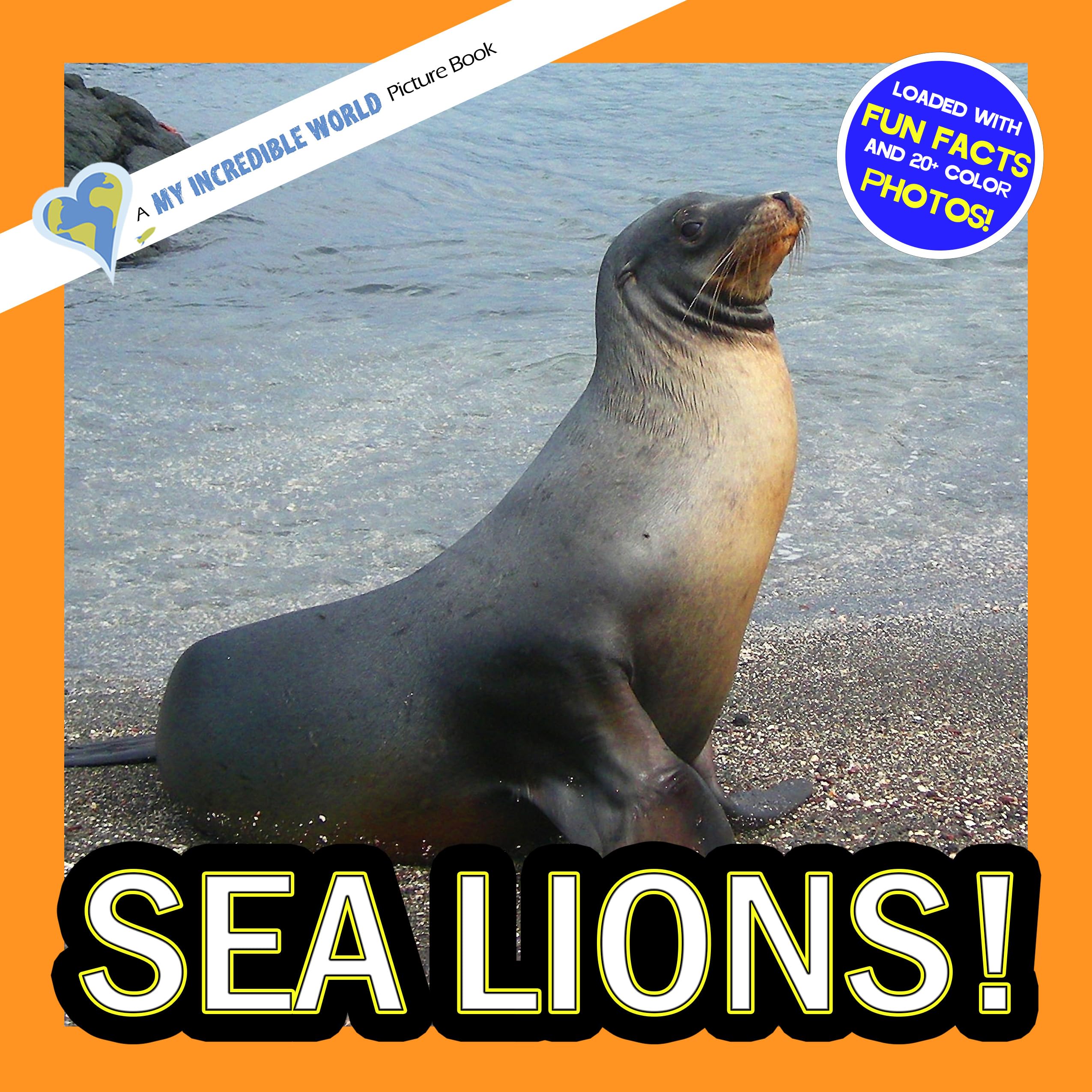 Sea Lions!: A My Incredible World Picture Book for Children by Hope ...