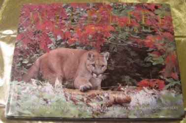 Wildlife of North America by Thomas A. Lewis by Thomas A. Lewis | Goodreads