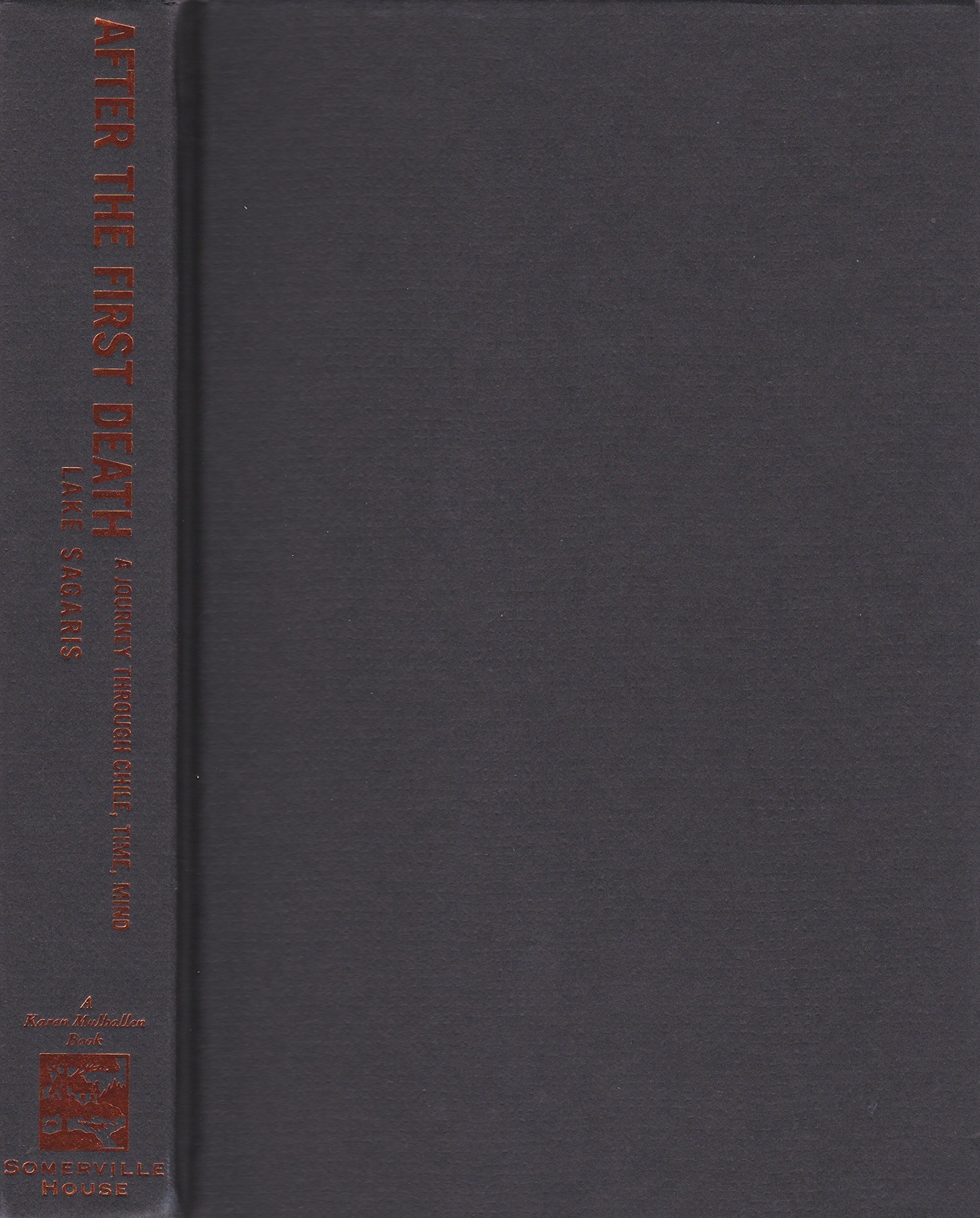 After the First Death: A Journey through Chile, Time, Mind by Lake ...