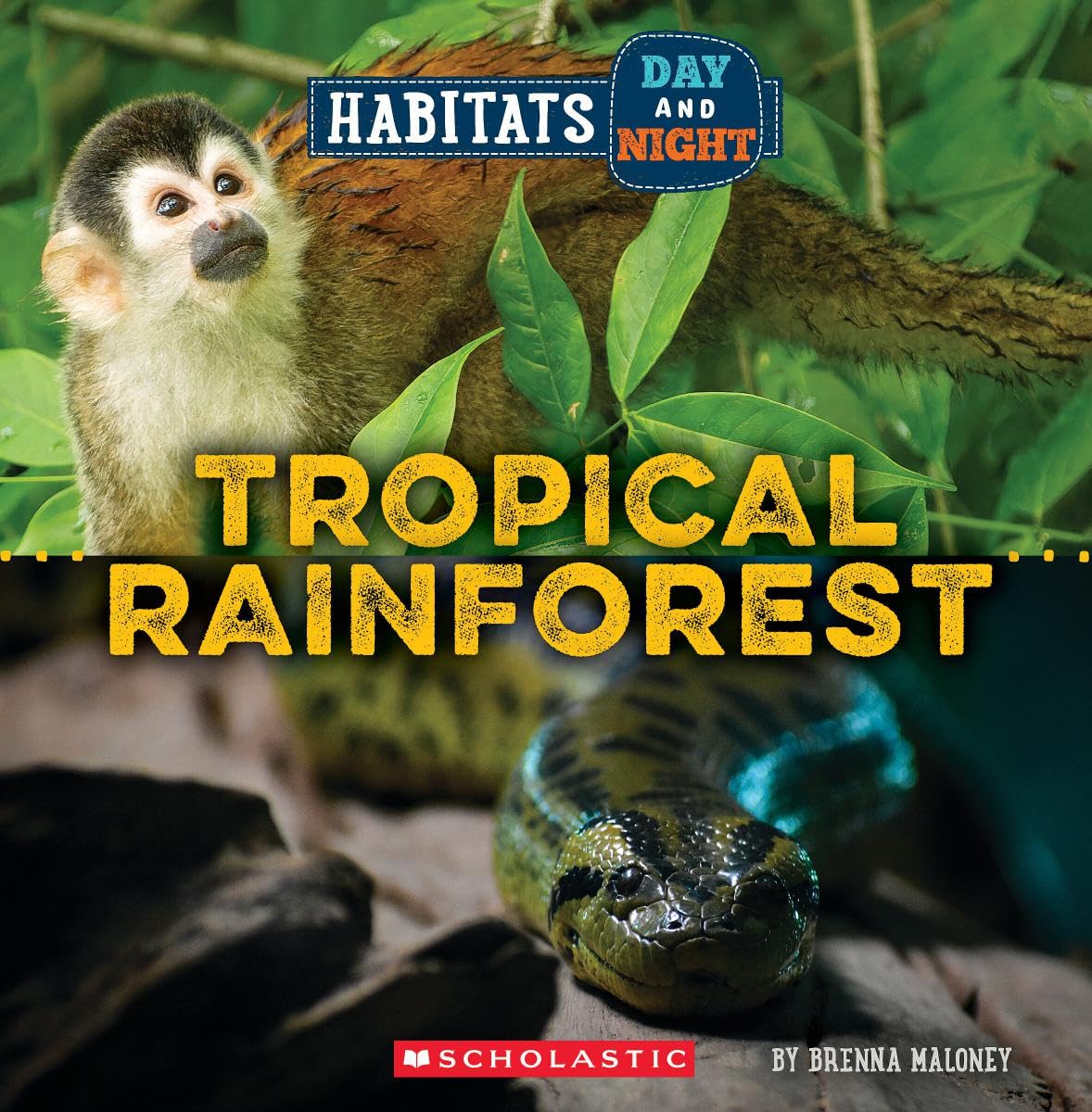 Tropical Rainforest by Brenna Maloney | Goodreads