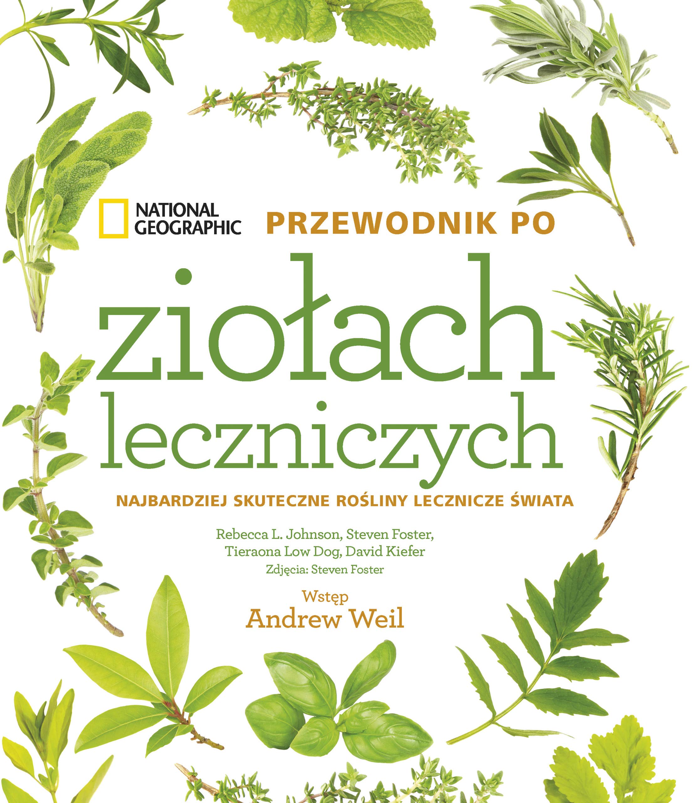 Przewodnik po zioĹach leczniczych - Steven Foster [KSIÄĹťKA] by Steven ...