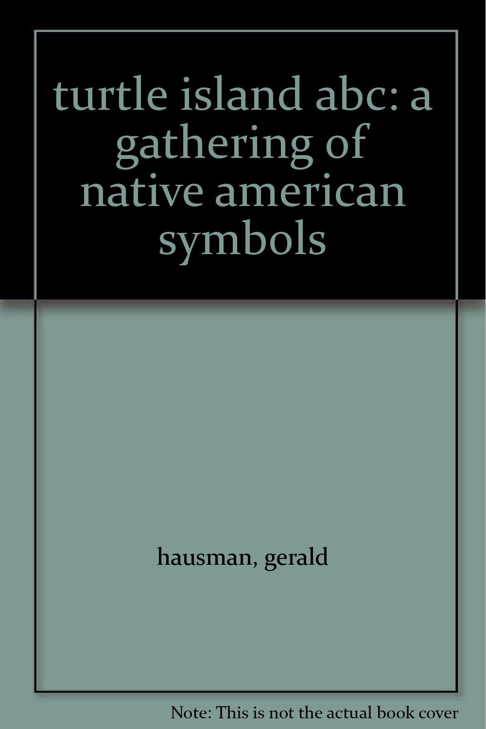 Turtle Island ABC: A Gathering of Native American Symbols by Barry ...