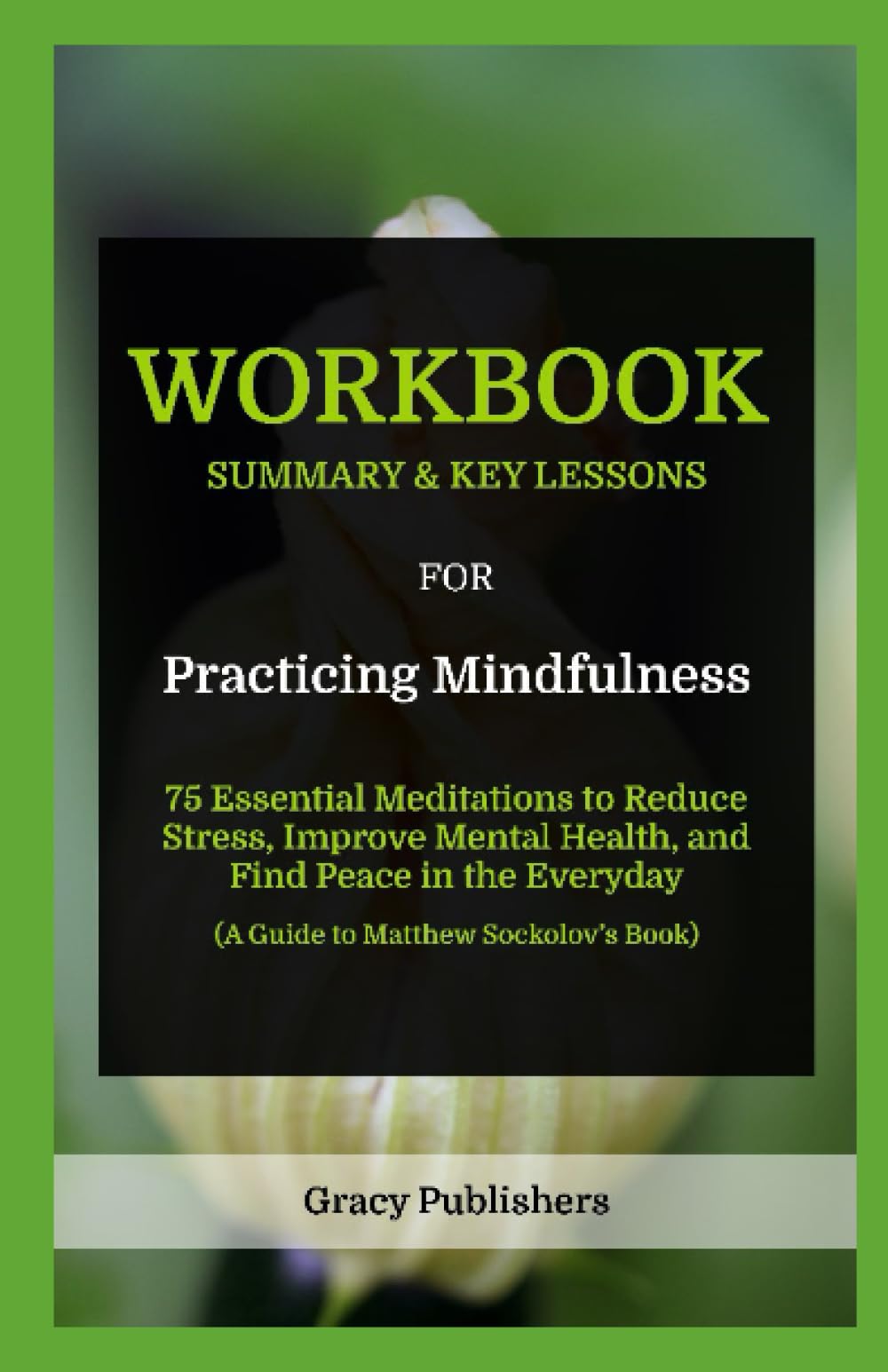 WORKBOOK SUMMARY AND KEY LESSONS For Practicing Mindfulness: 75 Essential Meditations to Reduce ...