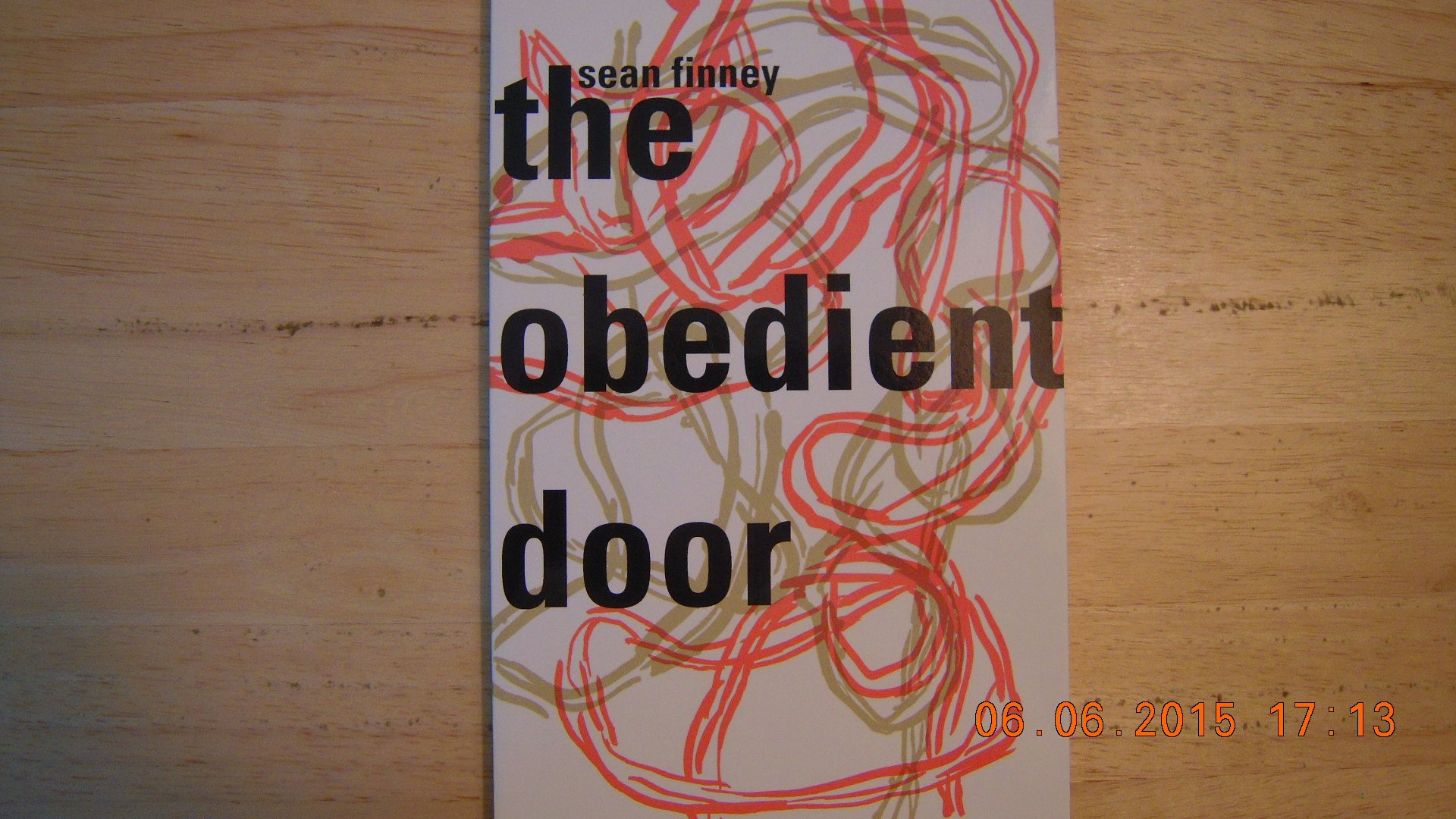 The Obedient Door by Sean Tumoana Finney | Goodreads