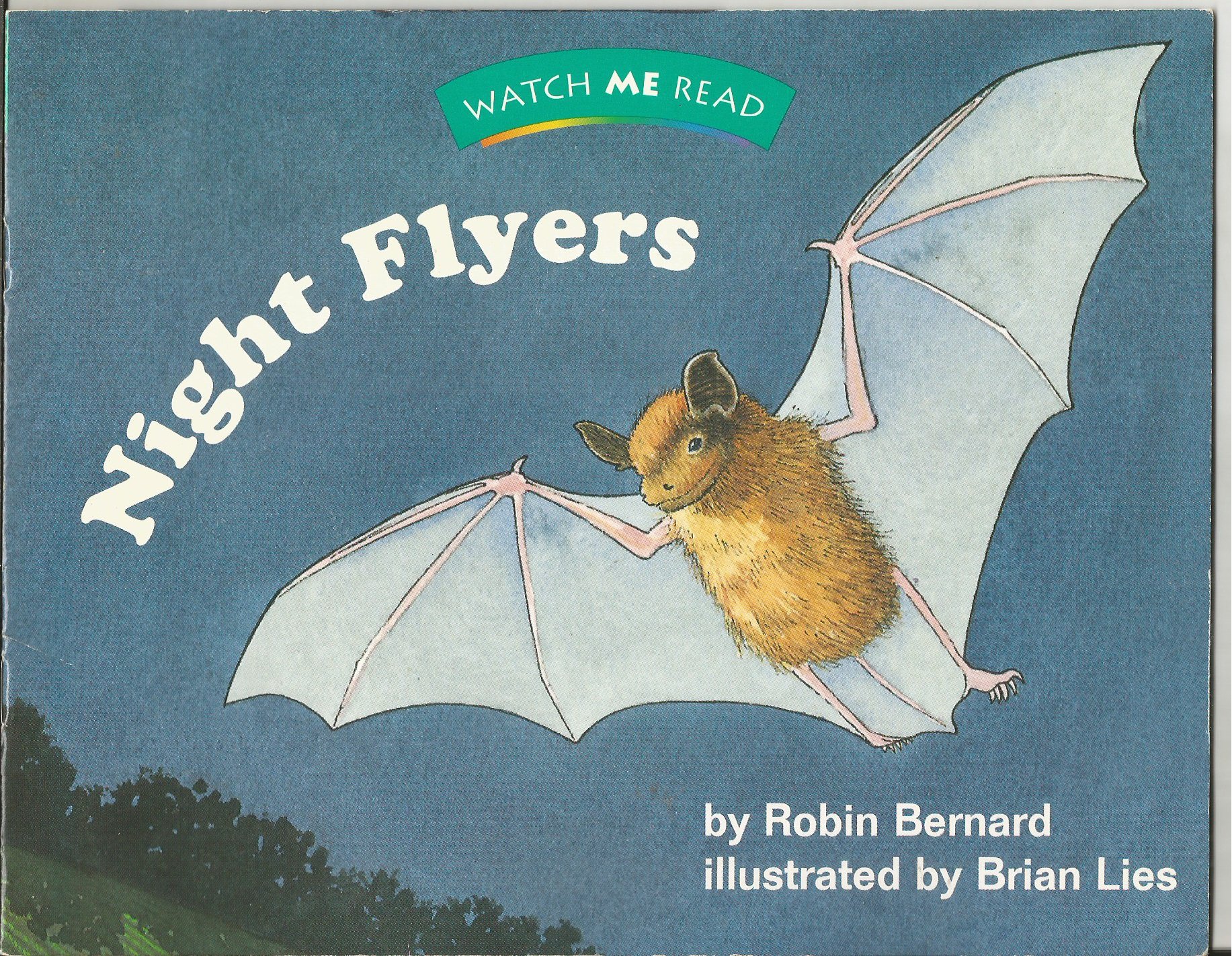 Night Flyers, Watch Me Read Book Imp Level 2.2: Houghton Mifflin ...