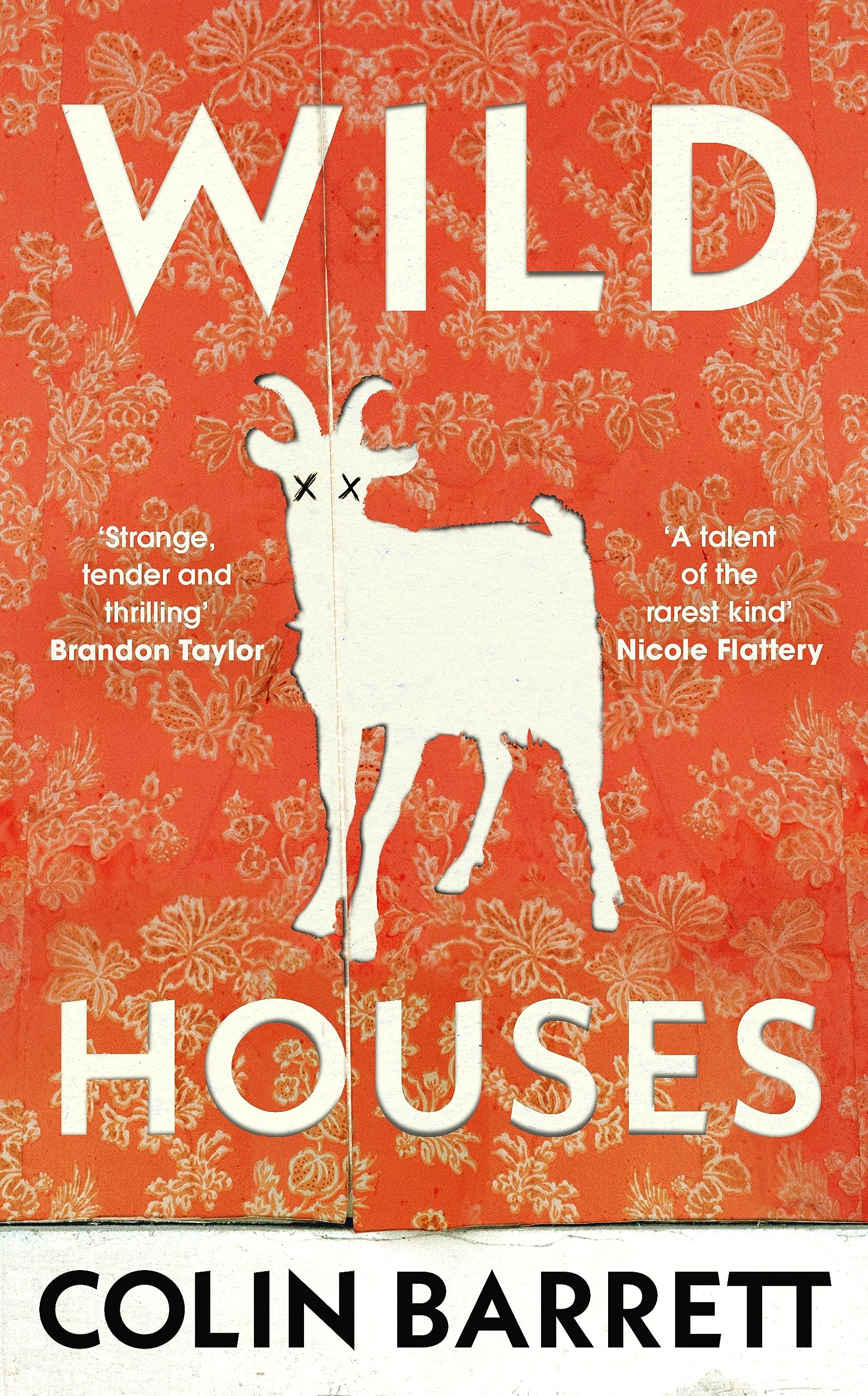 Wild Houses by Colin Barrett | Goodreads