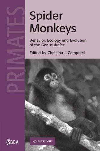Spider Monkeys: Behavior, Ecology and Evolution of the Genus Ateles (Cambridge Studies in ...