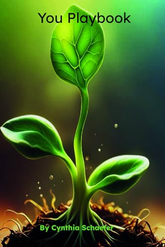 You Playbook: the companion to Your Real BMI by Cynthia Schaefer ...