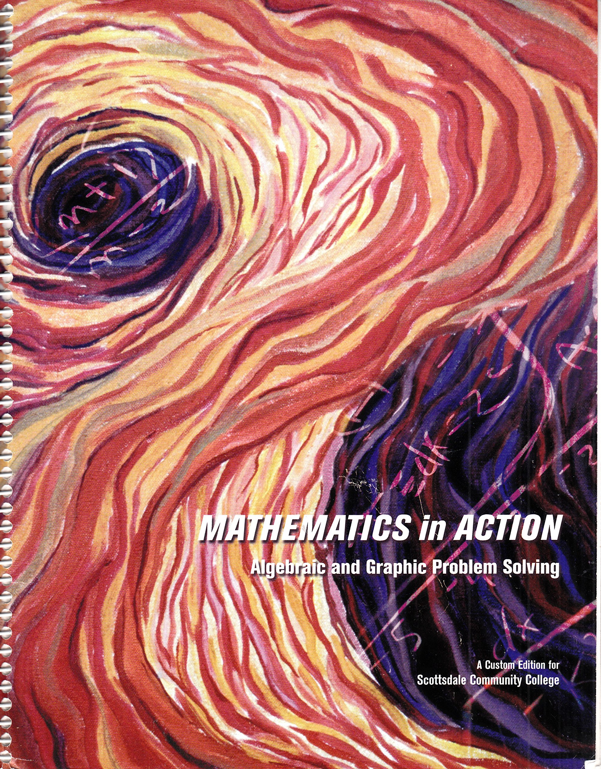 Mathematics in Action Algebraic and Graphic Problem Solving . A Custum ...