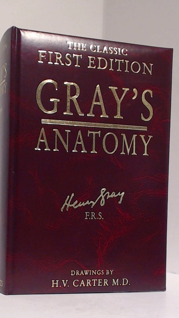 The Classic First Edition Grays Anatomy Descriptive and Surgical by ...