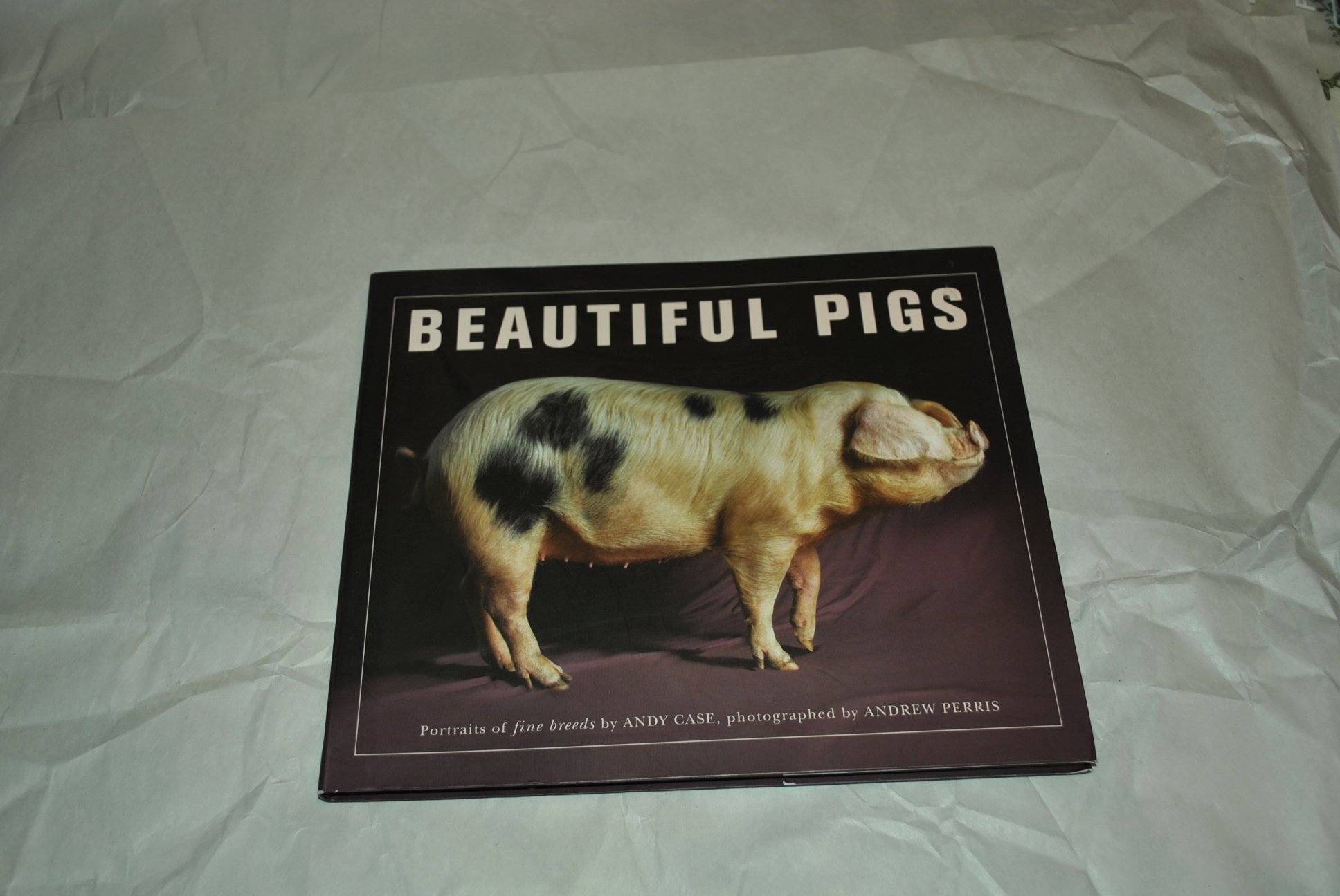 Beautiful Pigs Portraits of Fine Breeds by Andy Case | Goodreads