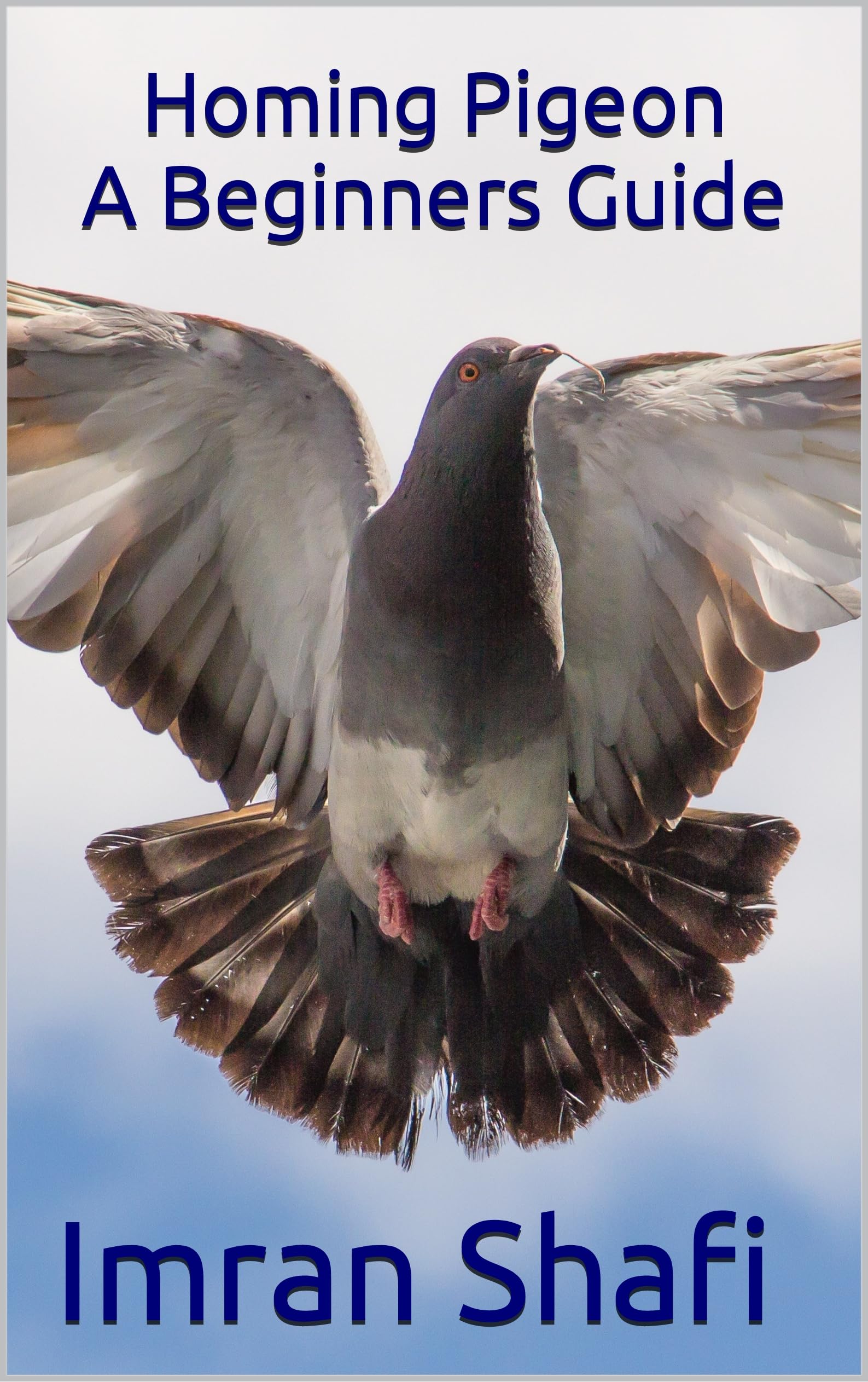 Homing Pigeon A Beginners Guide by Imran Shafi | Goodreads
