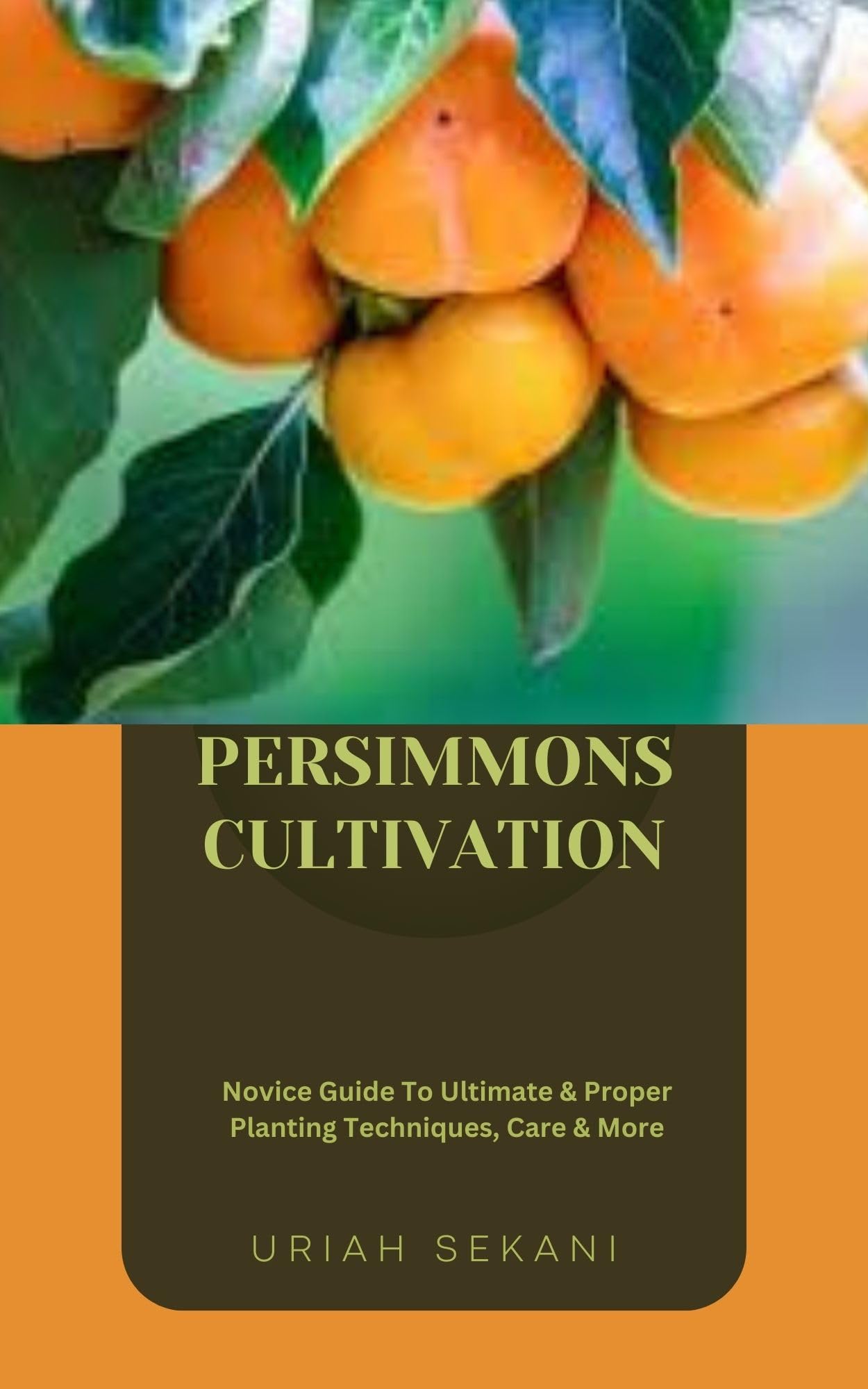 PERSIMMONS CULTIVATION: Novice Guide To Ultimate & Proper Planting ...