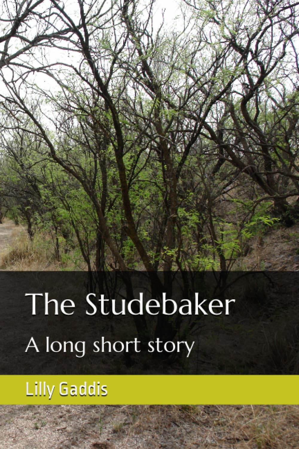 The Studebaker: A long short story by Lilly Gaddis | Goodreads