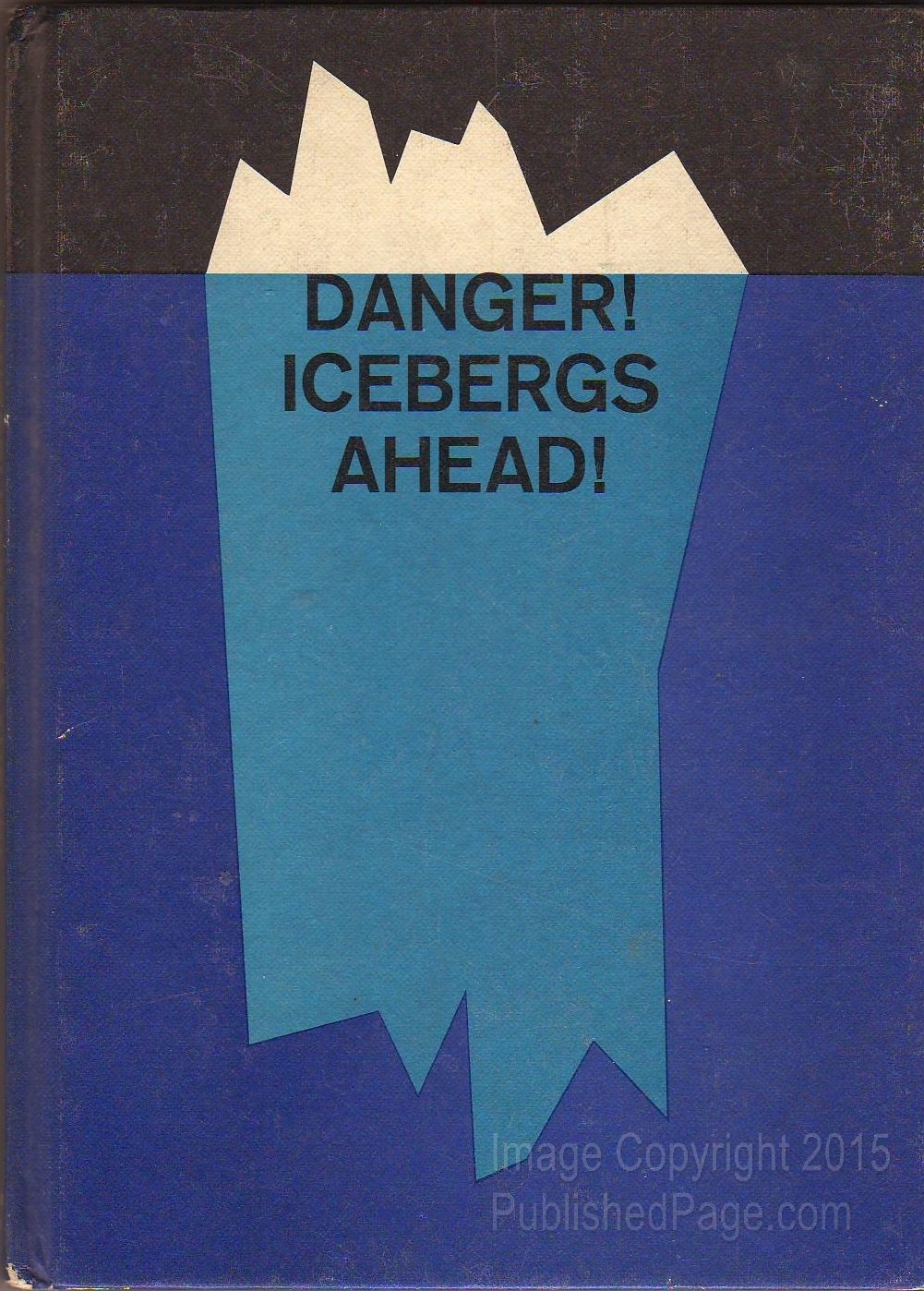 Danger, Icebergs Ahead by Lynn Poole | Goodreads