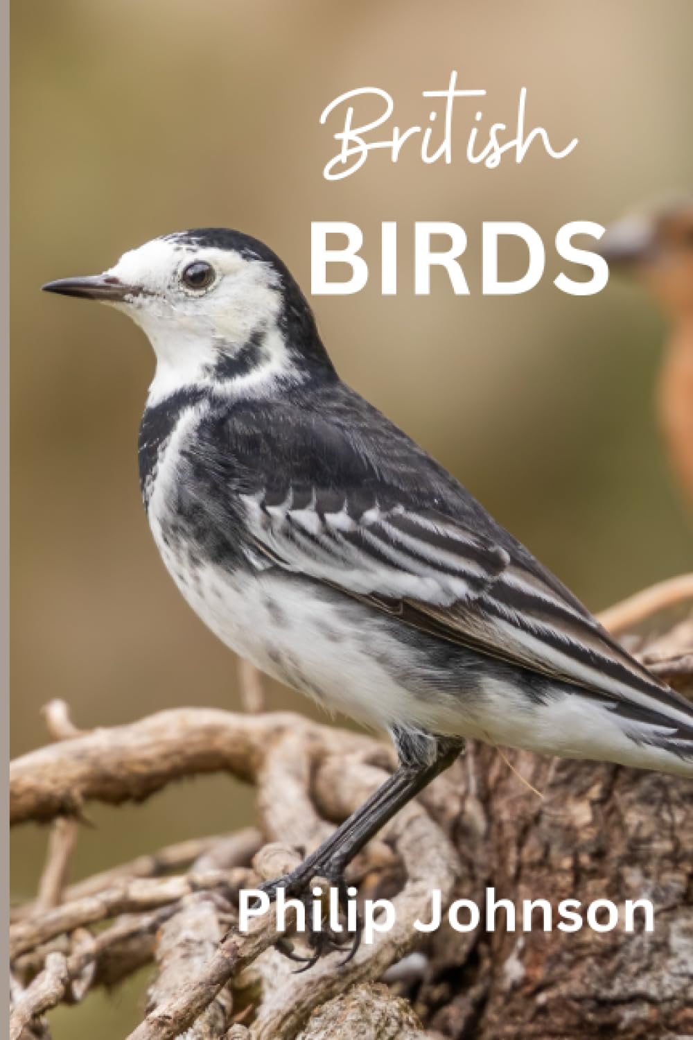 The British bird book: Illustrated with full colour pictures and ...