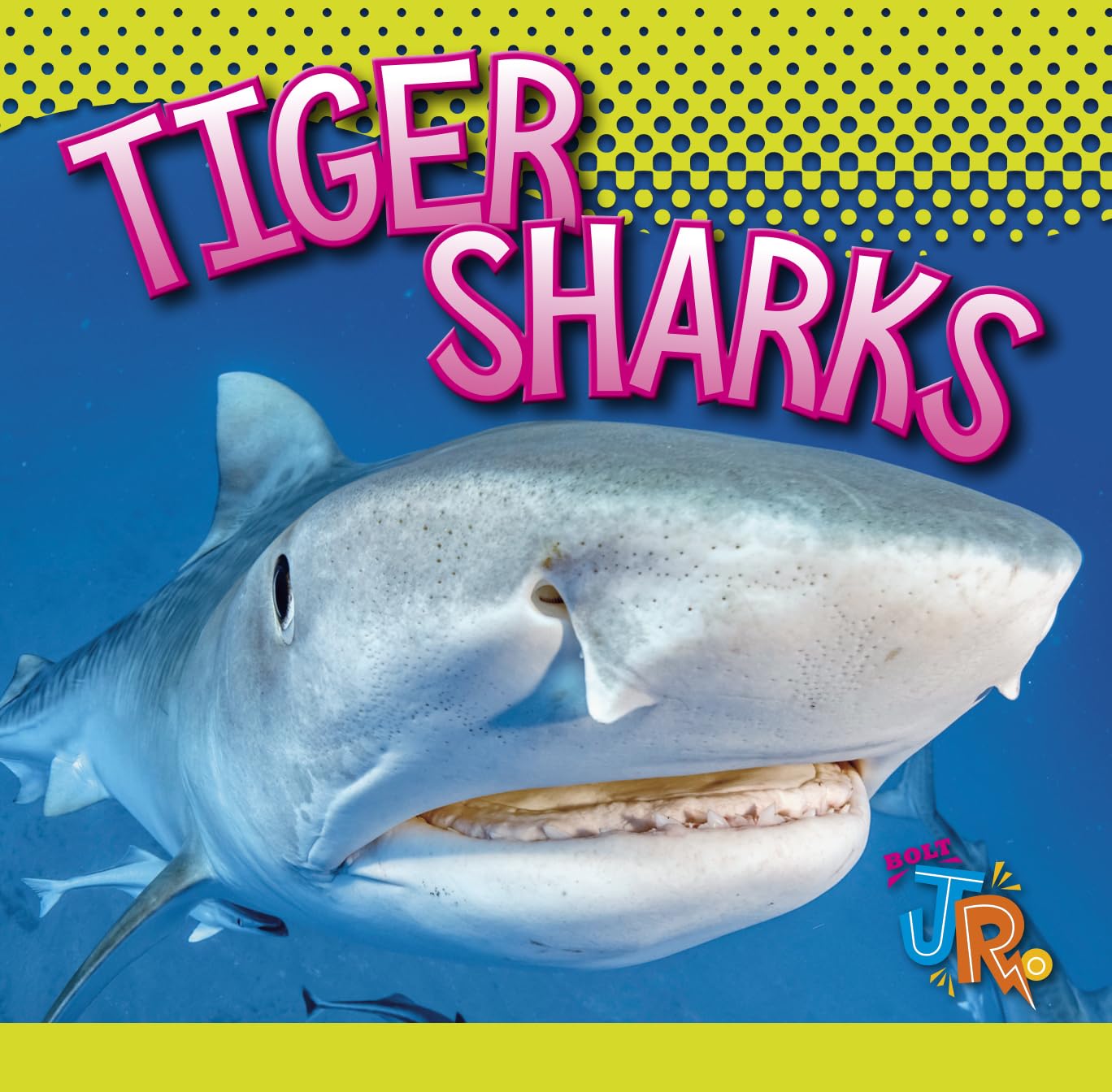 Tiger Sharks (World of Sharks) by Marysa Storm | Goodreads