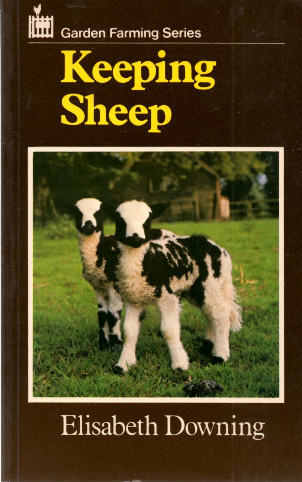 Keeping Sheep by Elisabeth Downing | Goodreads
