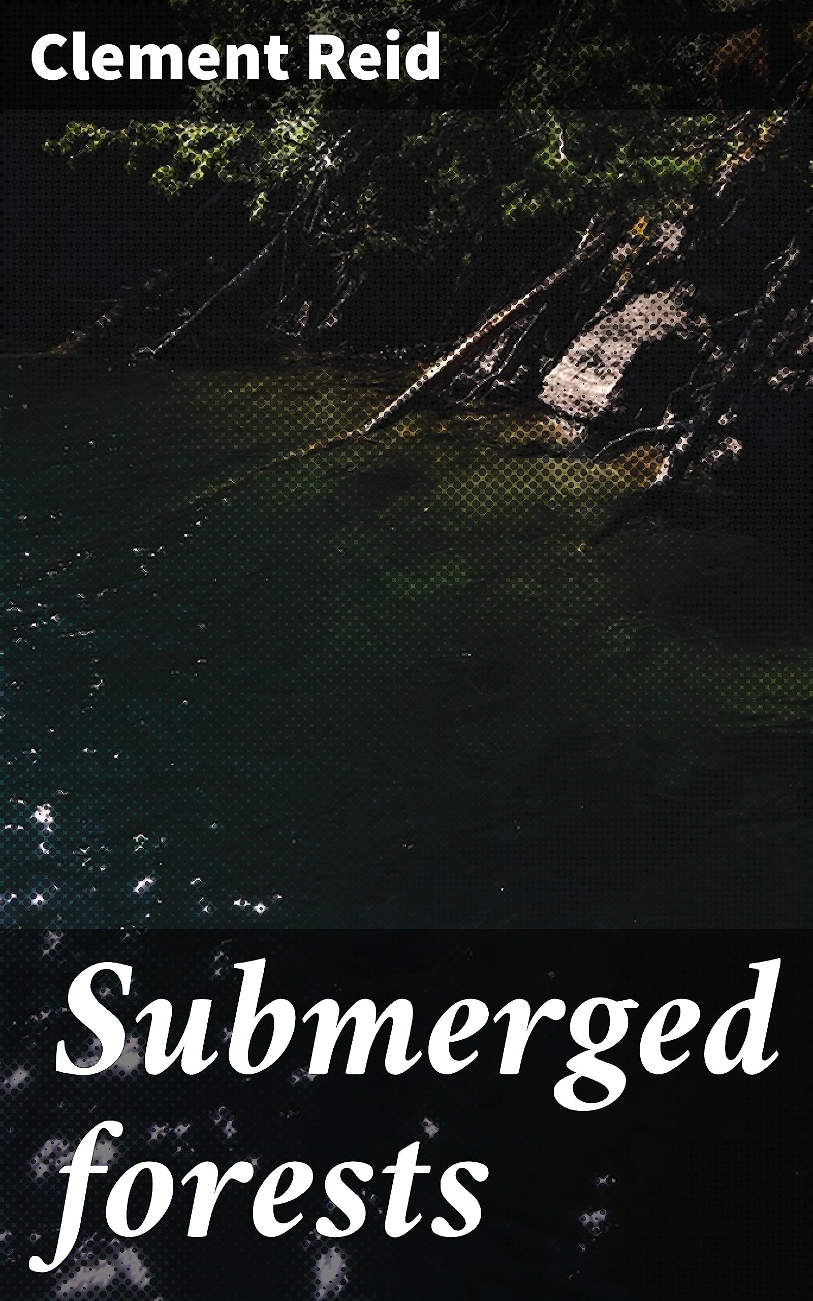 Submerged forests: Exploring Ancient Submerged Landscapes: Insights into History, Science, and ...