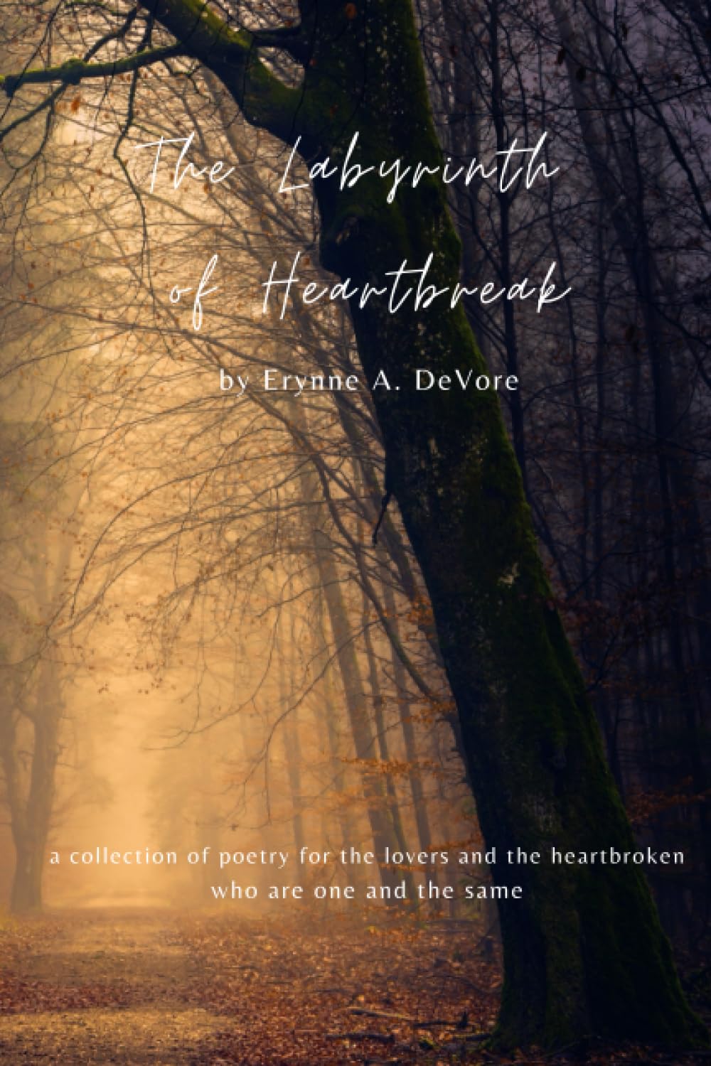 The Labyrinth of Heartbreak: A collection of poetry for the lovers and ...