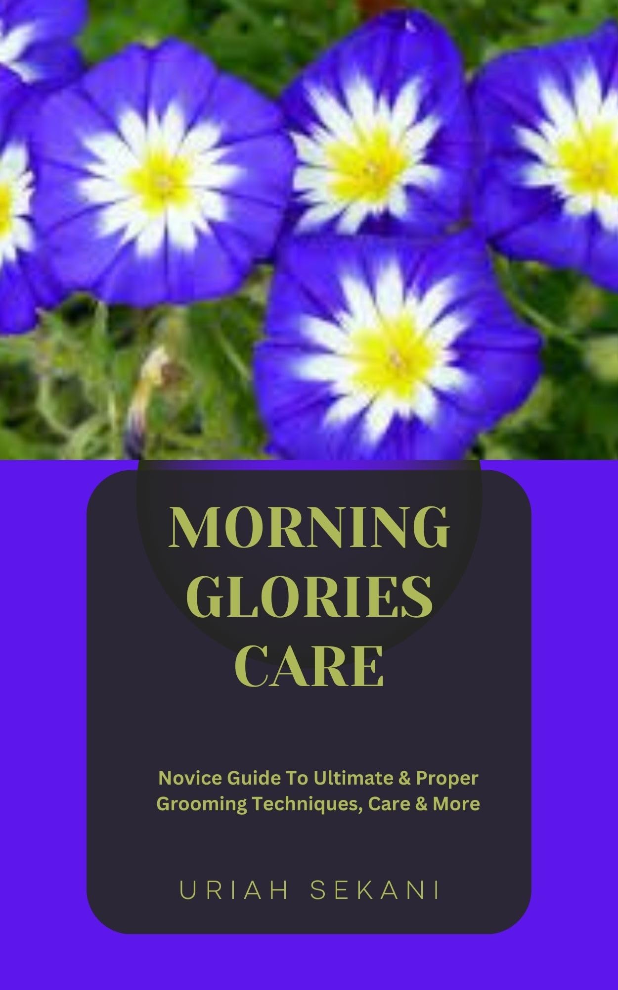 MORNING GLORIES CARE: Novice Guide To Ultimate & Proper Grooming ...