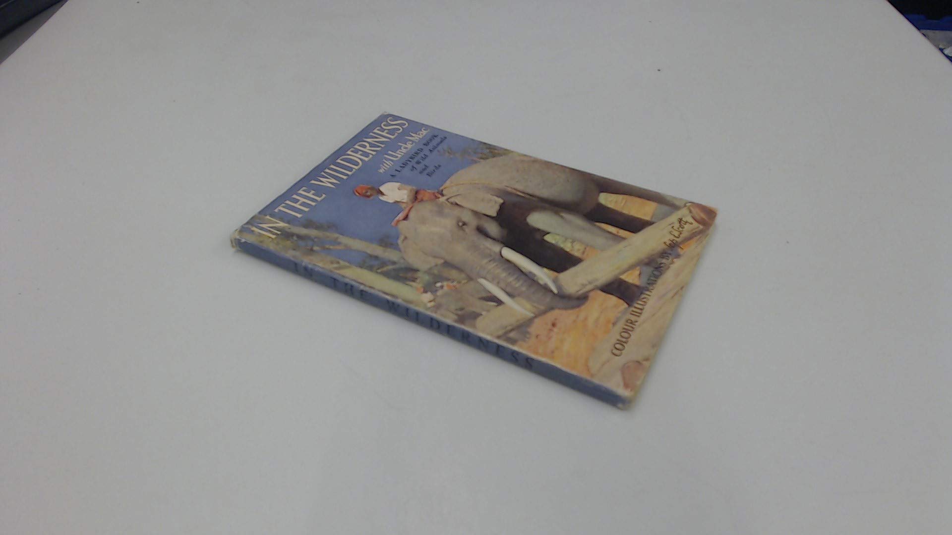 In the Wilderness by Derek McCulloch | Goodreads