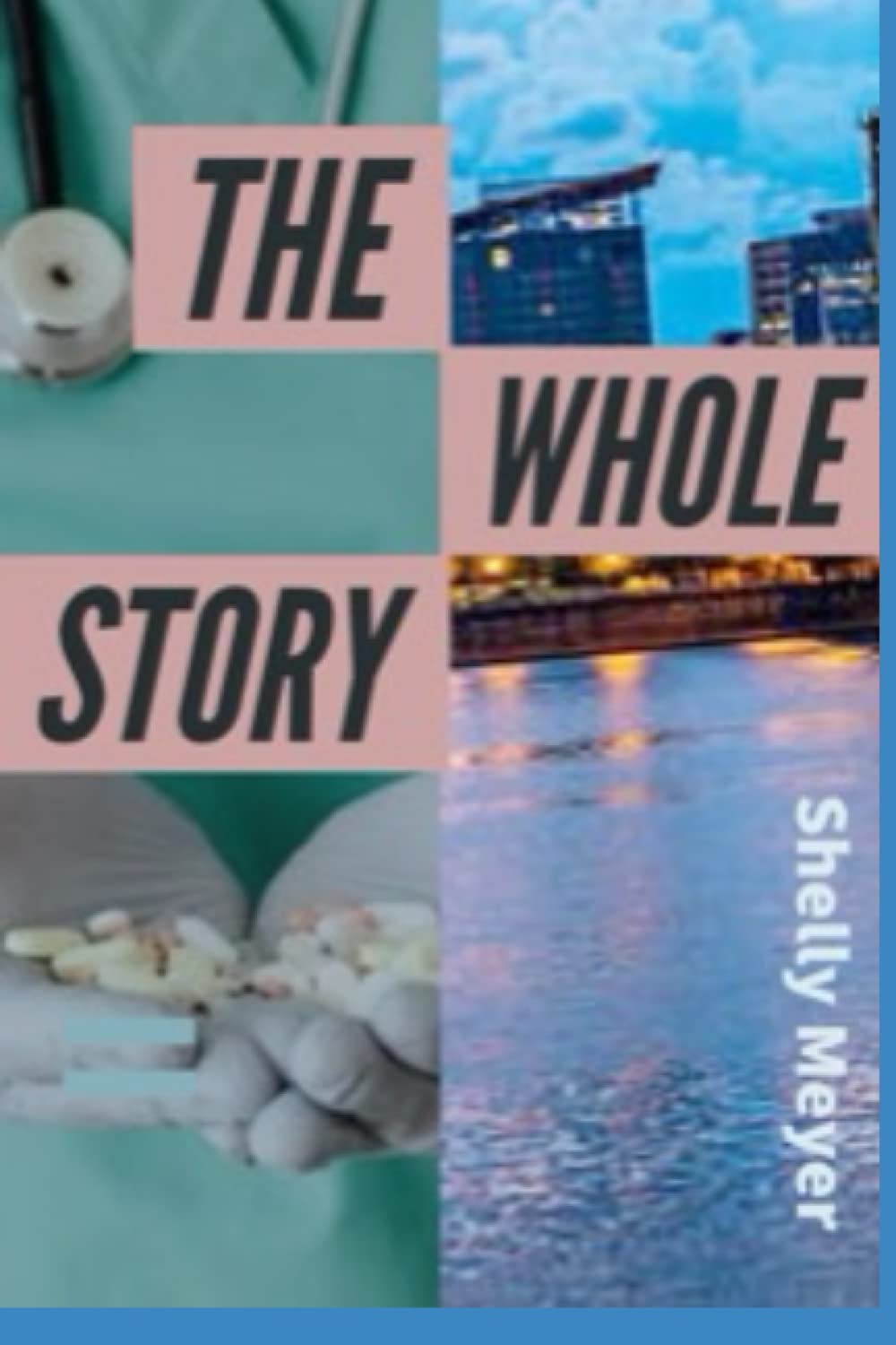 The Whole Story by Shelly Meyer | Goodreads