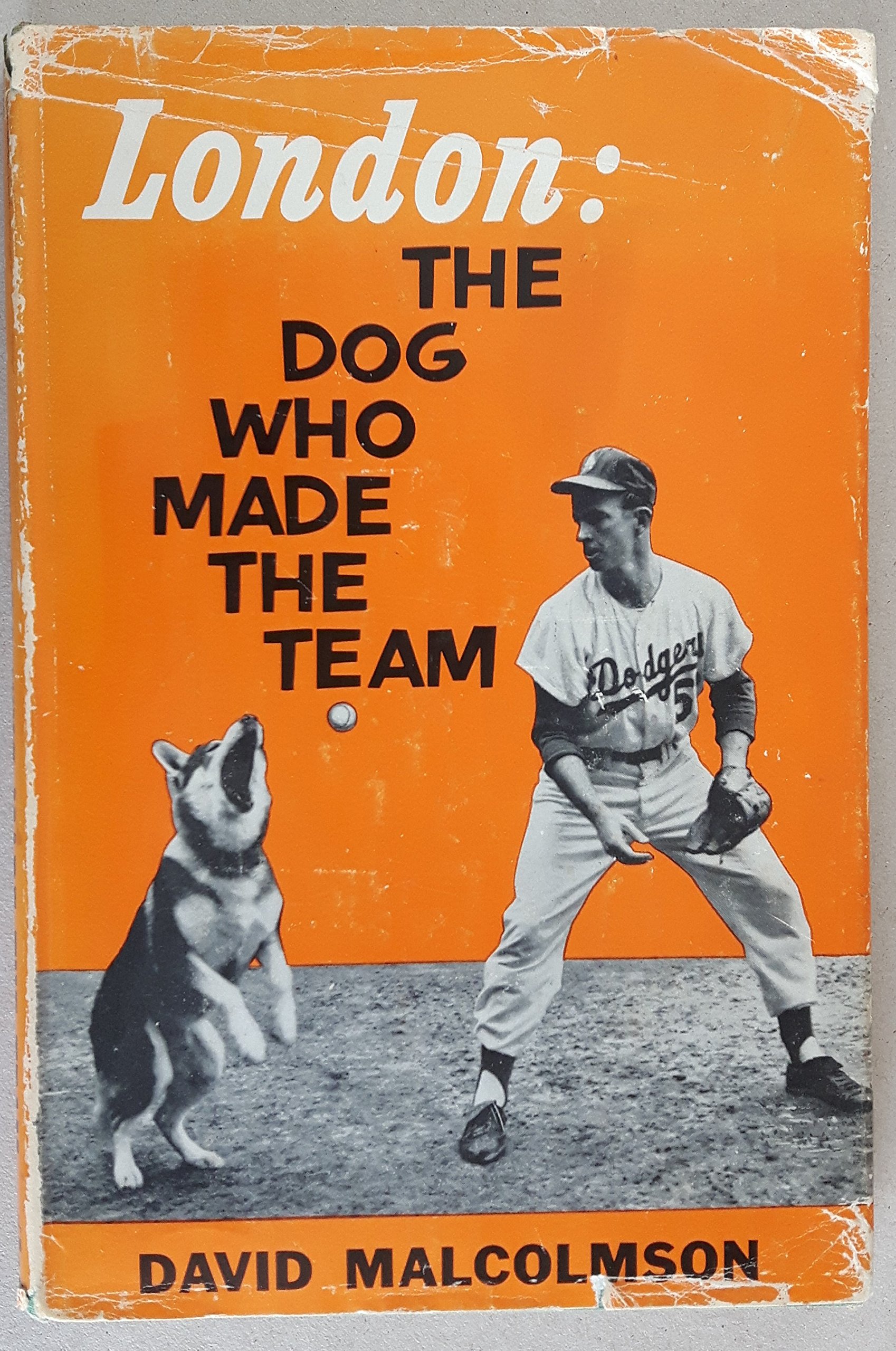 London the Dog Who Made the Team, 1st Edition by David Malcolmson ...