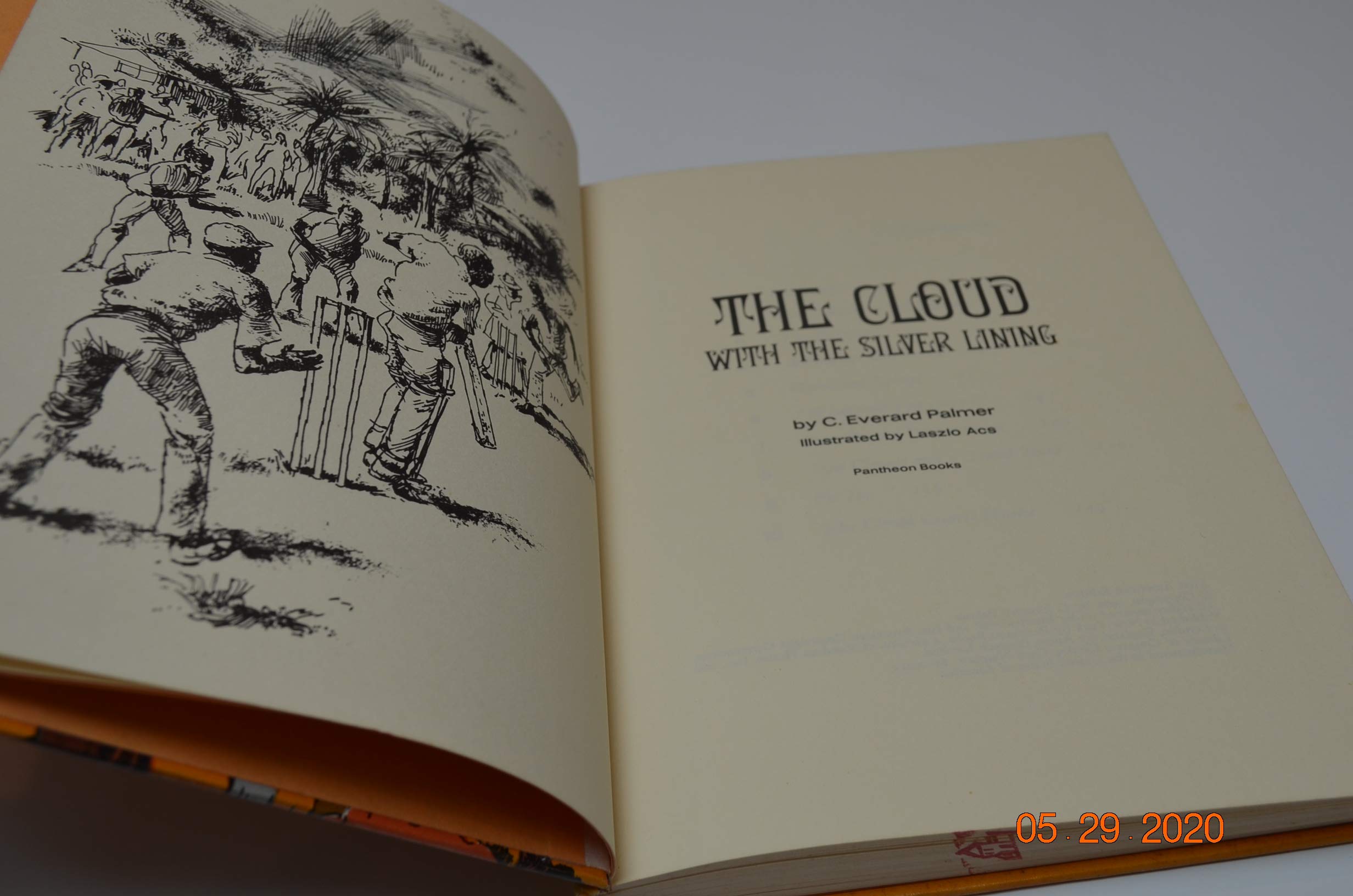 Cloud with the Silver Lining by C. Everard Palmer | Goodreads