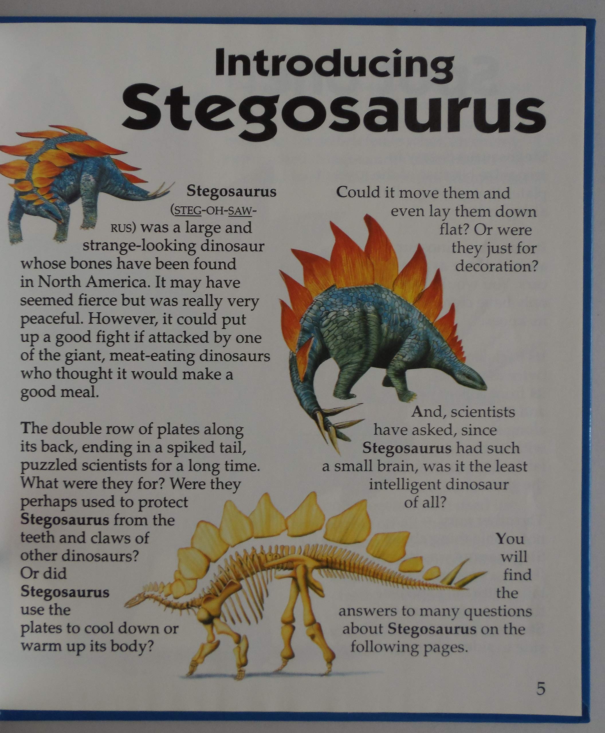 Looking At...Stegosaurus: A Dinosaur from the Jurassic Period by ...