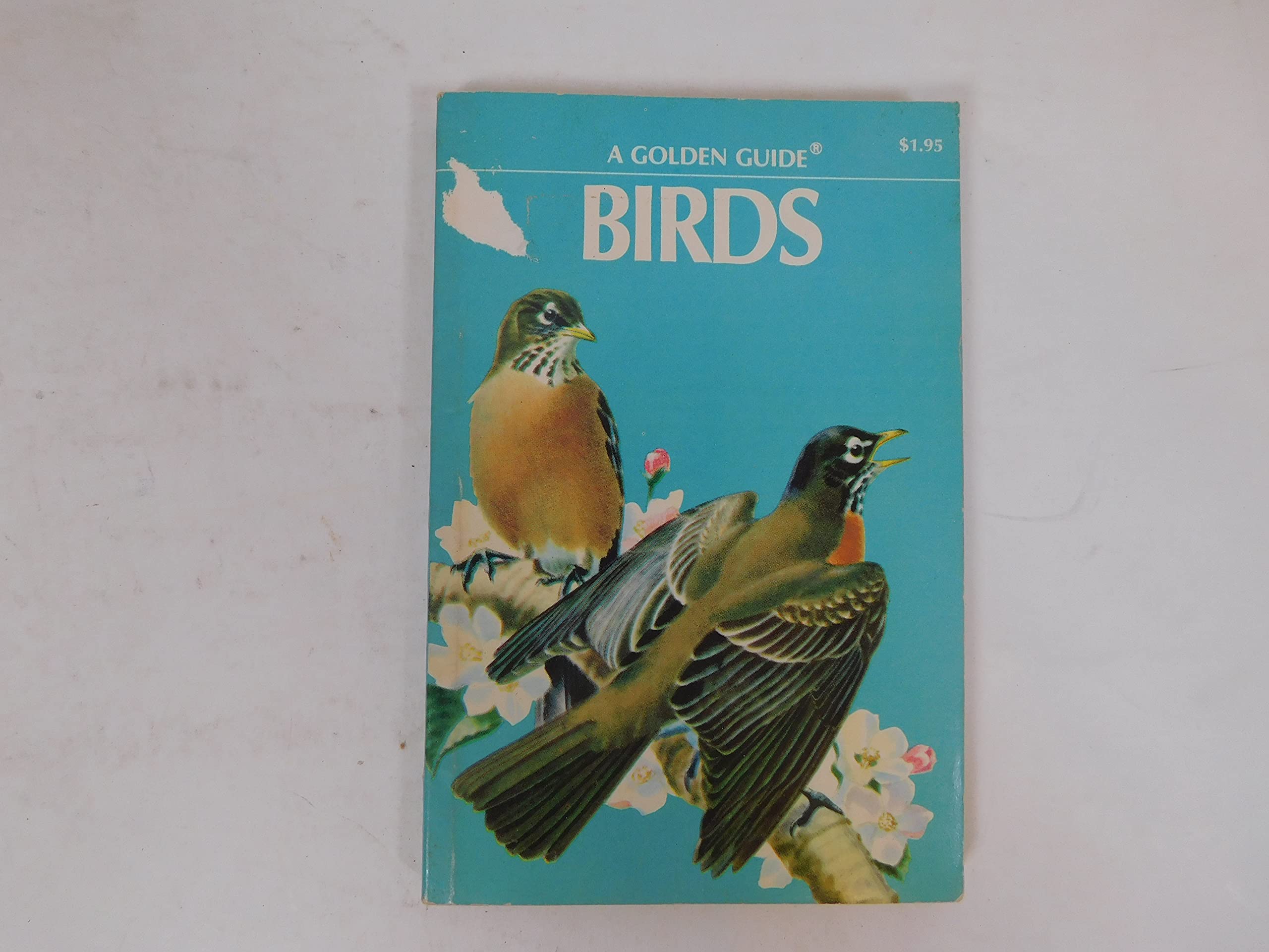 A Golden Guide: Birds by Ira N. Gabrielson Herbert S. Zim | Goodreads
