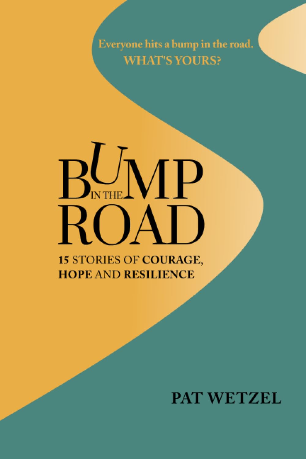 Bump In The Road: 15 Stories of Courage, Hope and Resilience by Pat ...