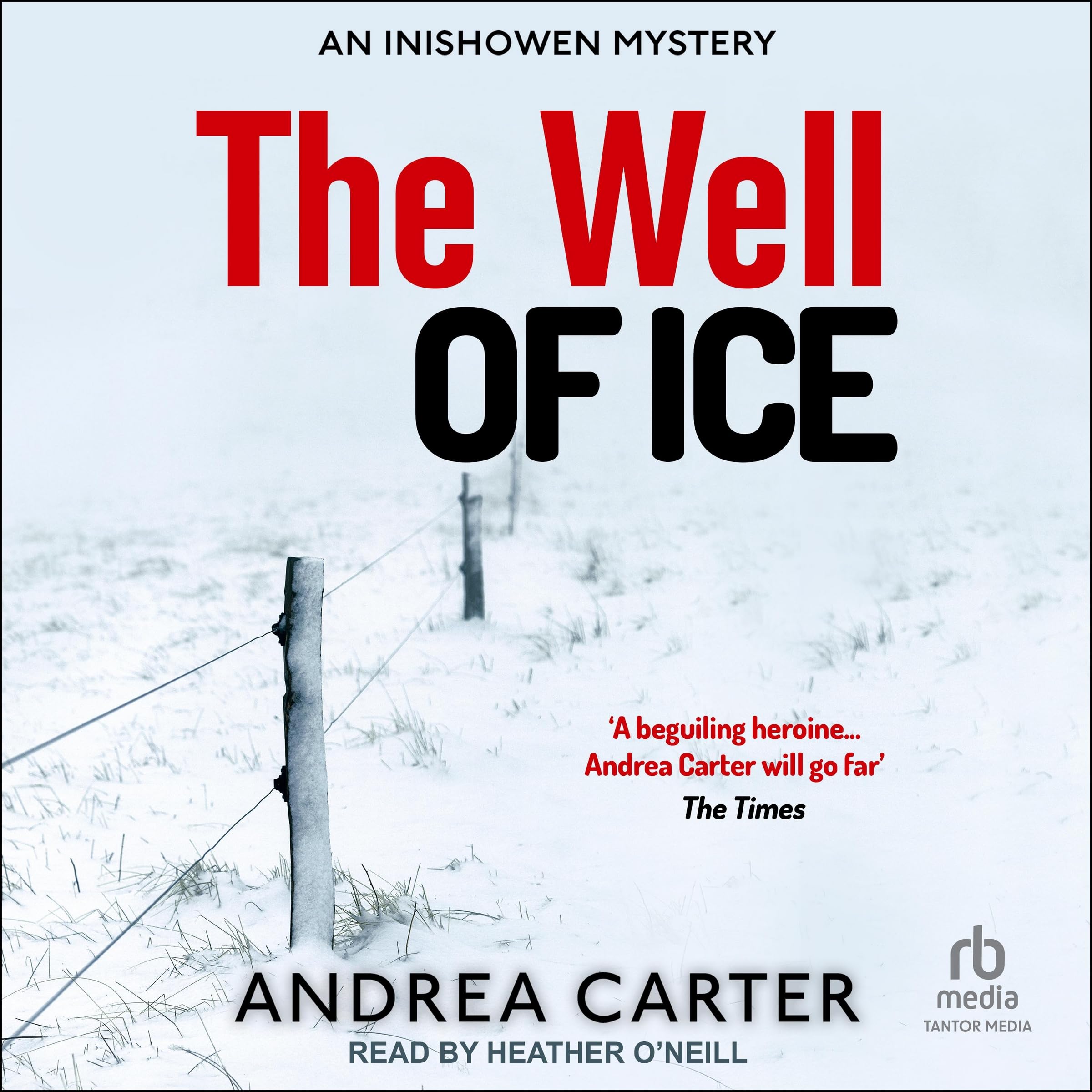 The Well of Ice (Inishowen Mysteries, 3) by Andrea Carter | Goodreads
