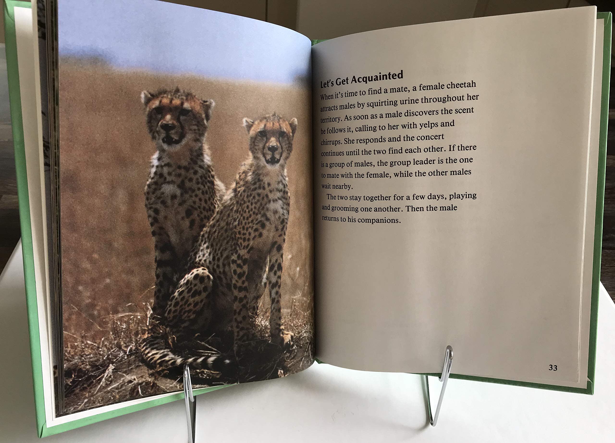 Cheetahs (Nature's Children) by Alia Smyth | Goodreads