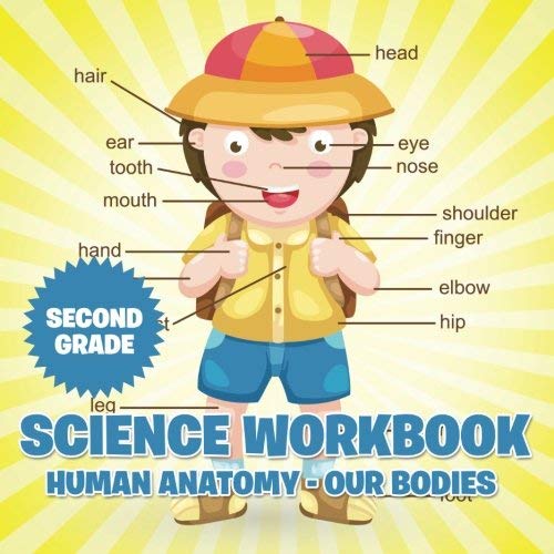Second Grade Science Workbook: Human Anatomy - Our Bodies by Baby ...