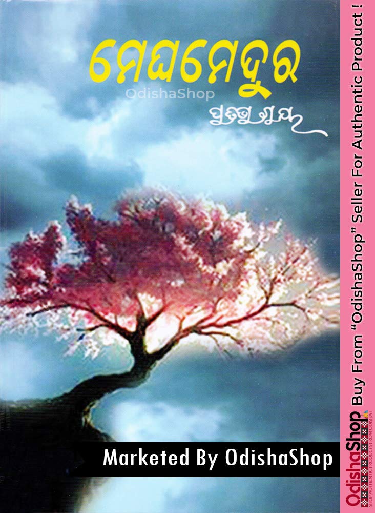 Odia Novel Meghamedura By Pratibha Ray From OdishaShop by Pratibha Ray ...