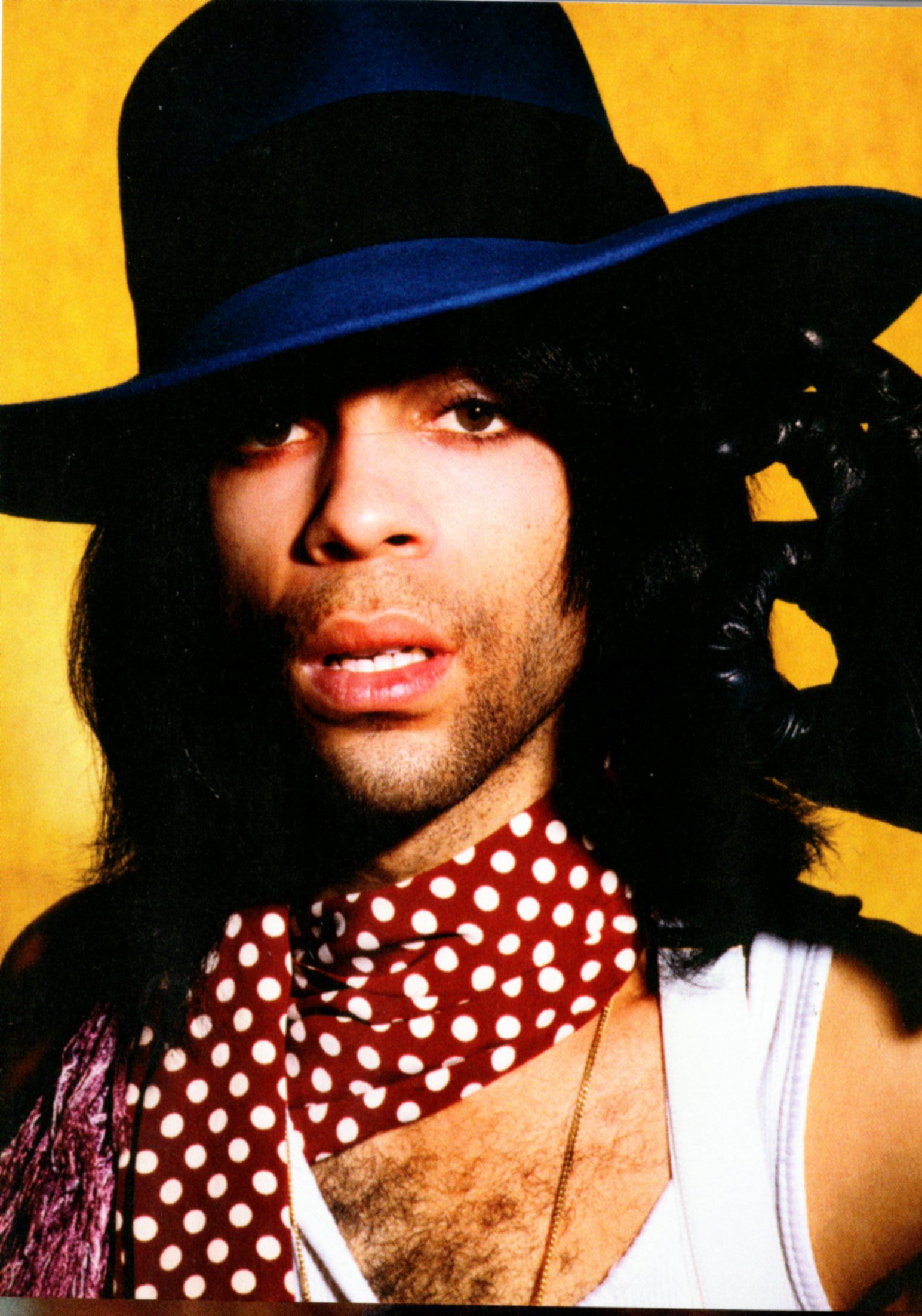Prince - A Tribute to His Royal Badness. Essence Collector's Edition by ...