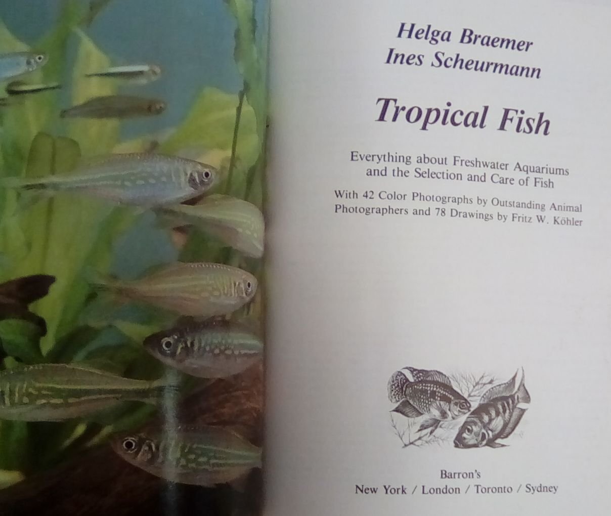 Tropical Fish ~ Everything about Freshwater Aquariums and the Selection ...