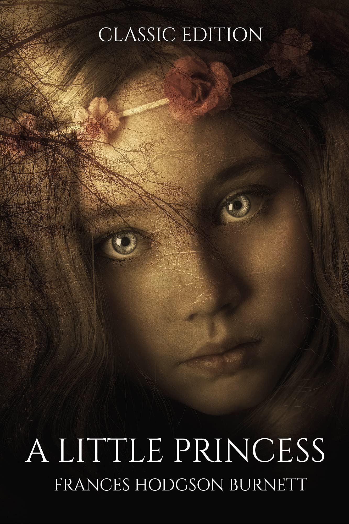 A Little Princess: with original illustrations by Frances Hodgson ...