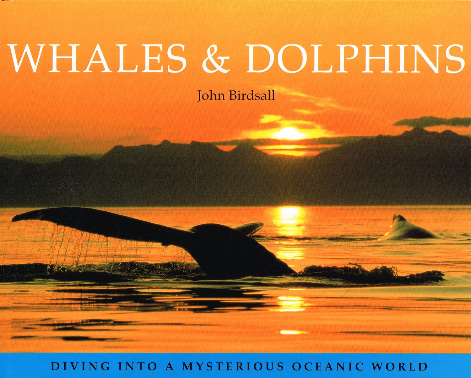 whales and dolphins by John Birdsall | Goodreads