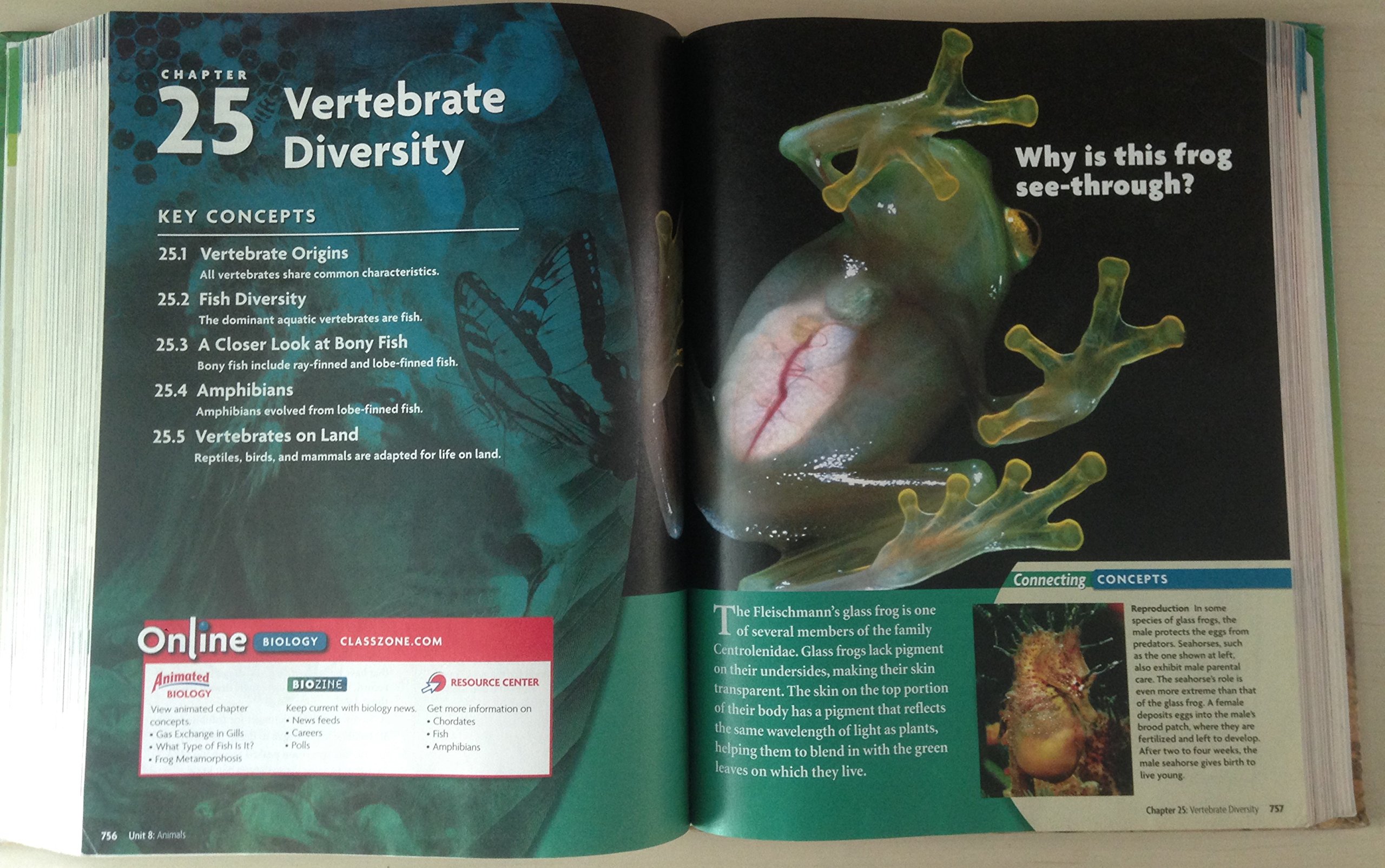 Biology California Student Edition by Stephen Nowicki | Goodreads