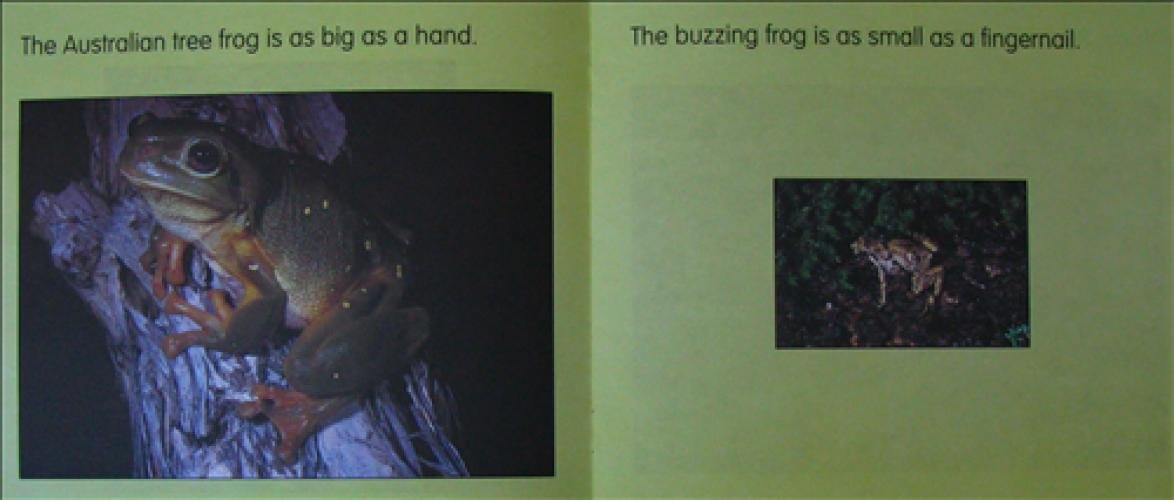 Frogs (Reading Discovery) by Carolyn MacLulich | Goodreads