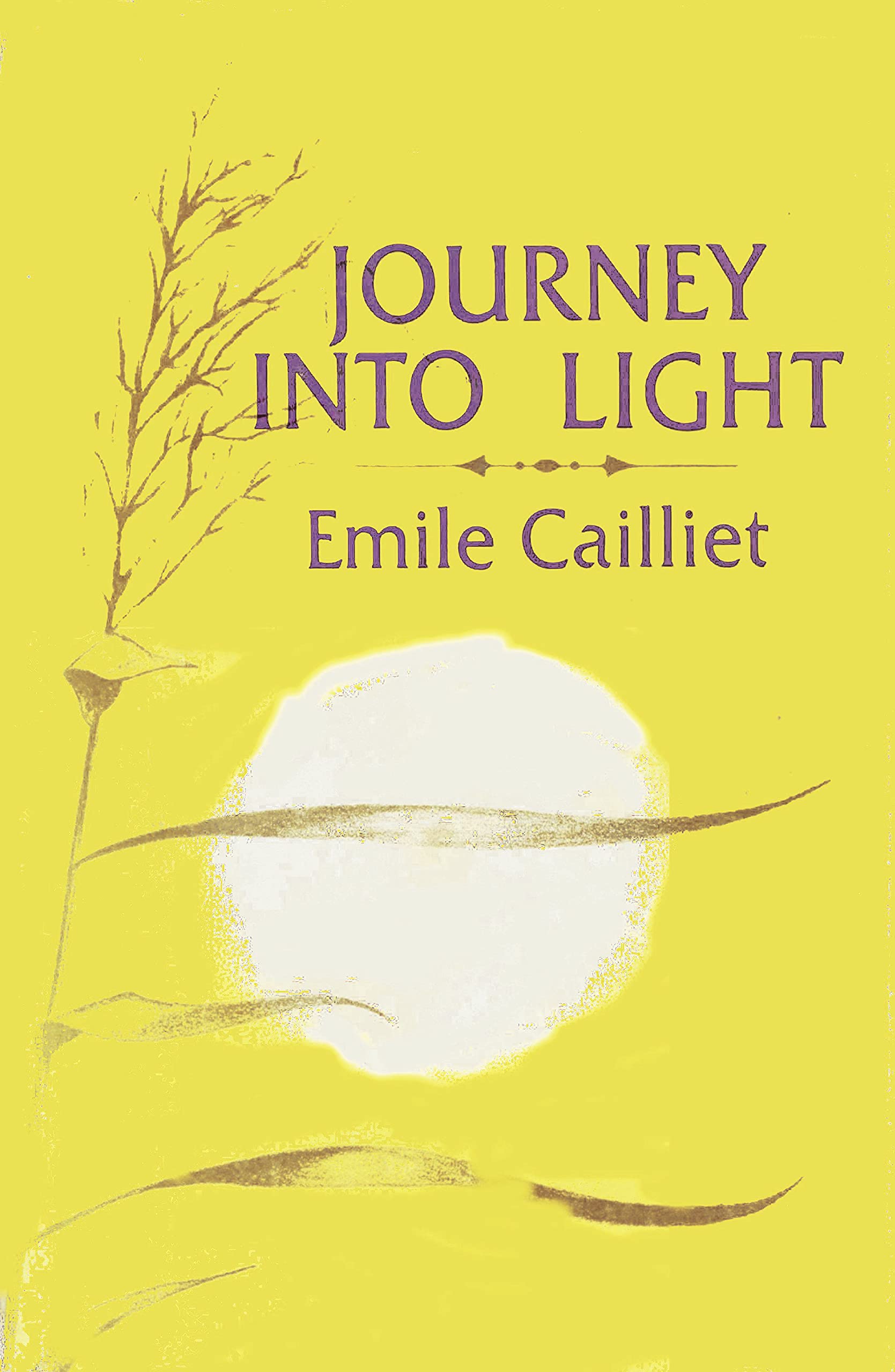 Journey into light by Émile Cailliet | Goodreads