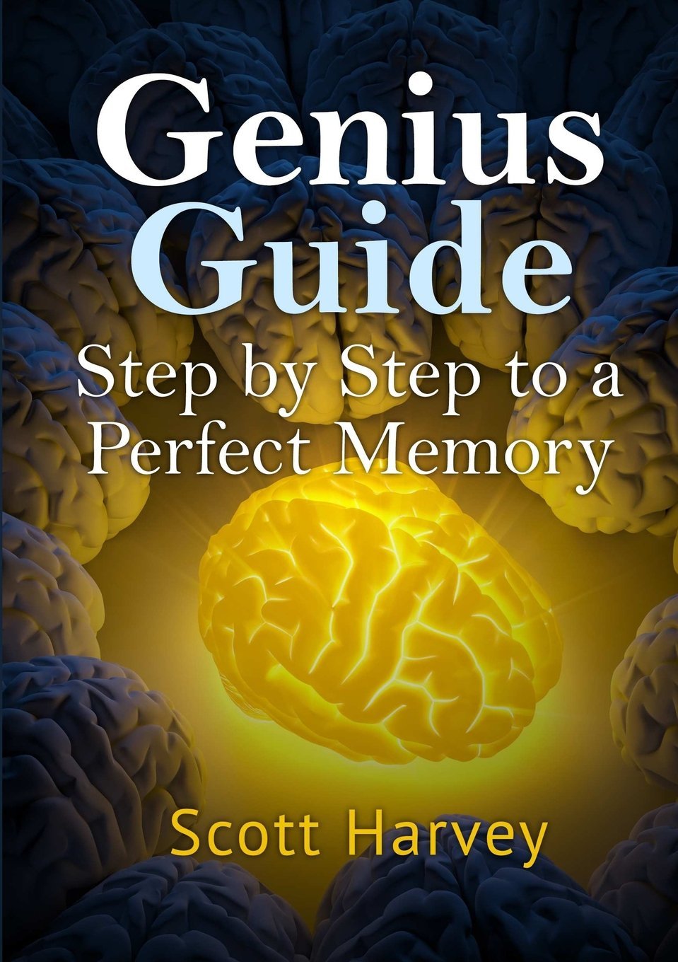 Genius Guide: Step by Step to a Perfect Memory by Scott Harvey (21-Oct ...