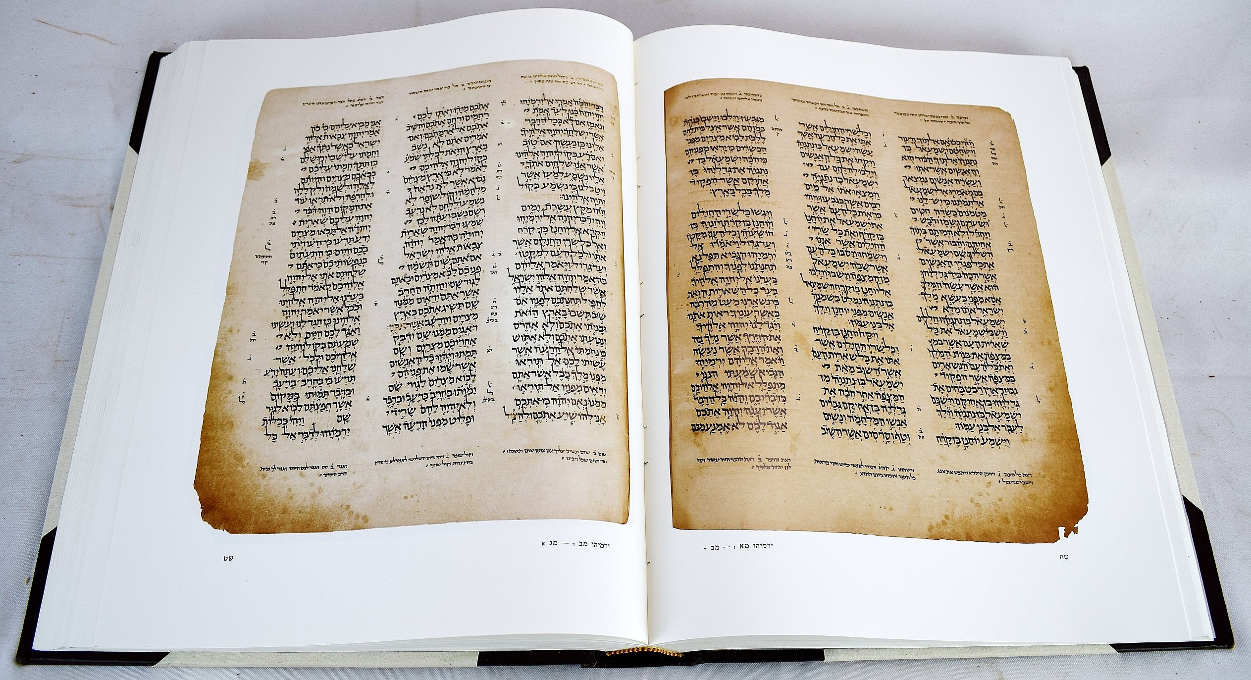 The Aleppo Codex: Provided With Massoretic Notes and Pointed by Aaron ...