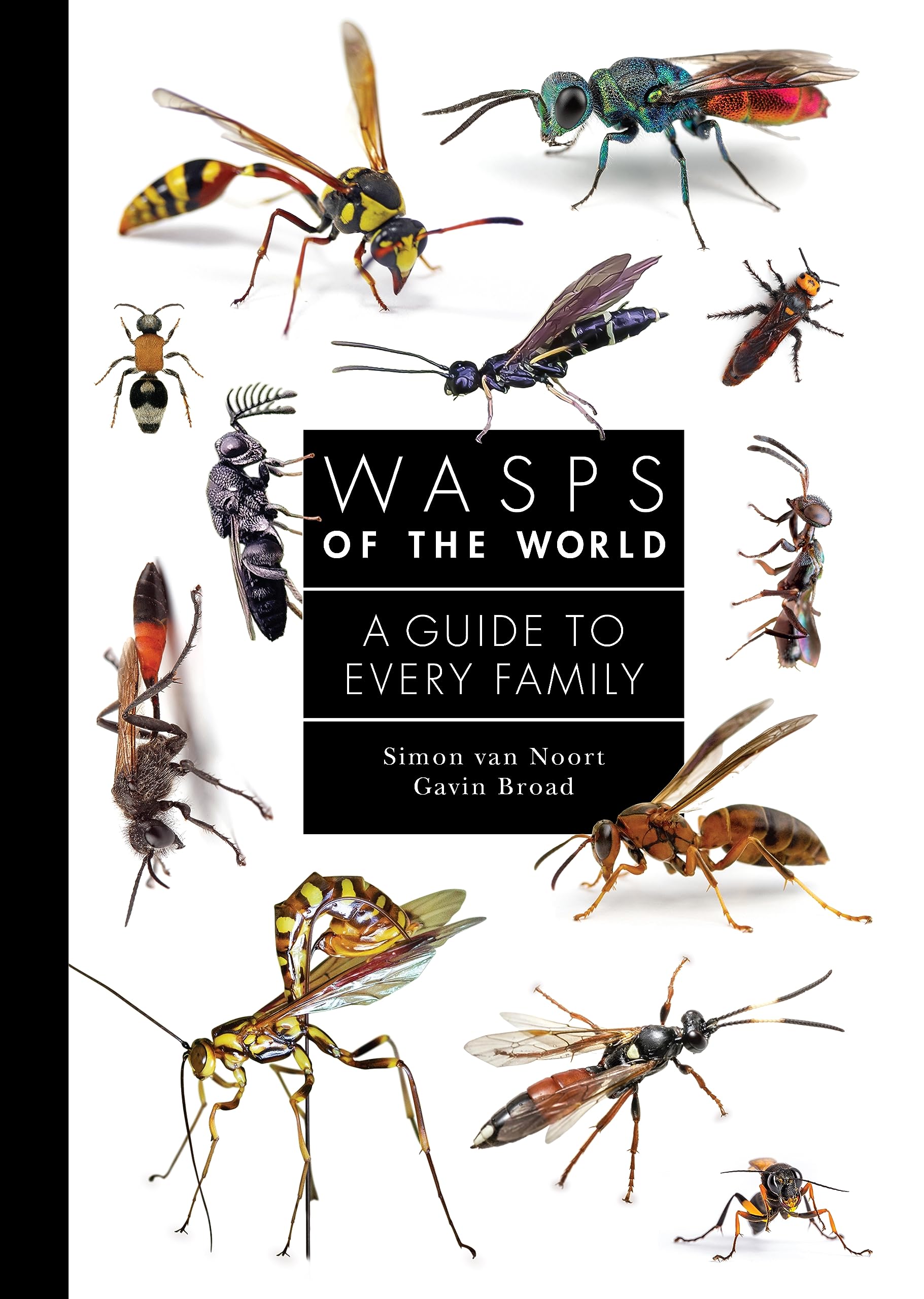 Wasps of the World: A Guide to Every Family by Simon van Noort | Goodreads