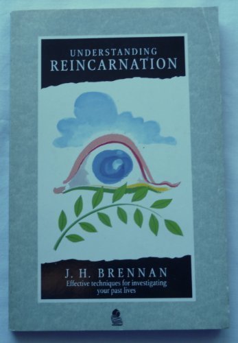 Understanding Reincarnation: Effective Techniques for Investigating ...