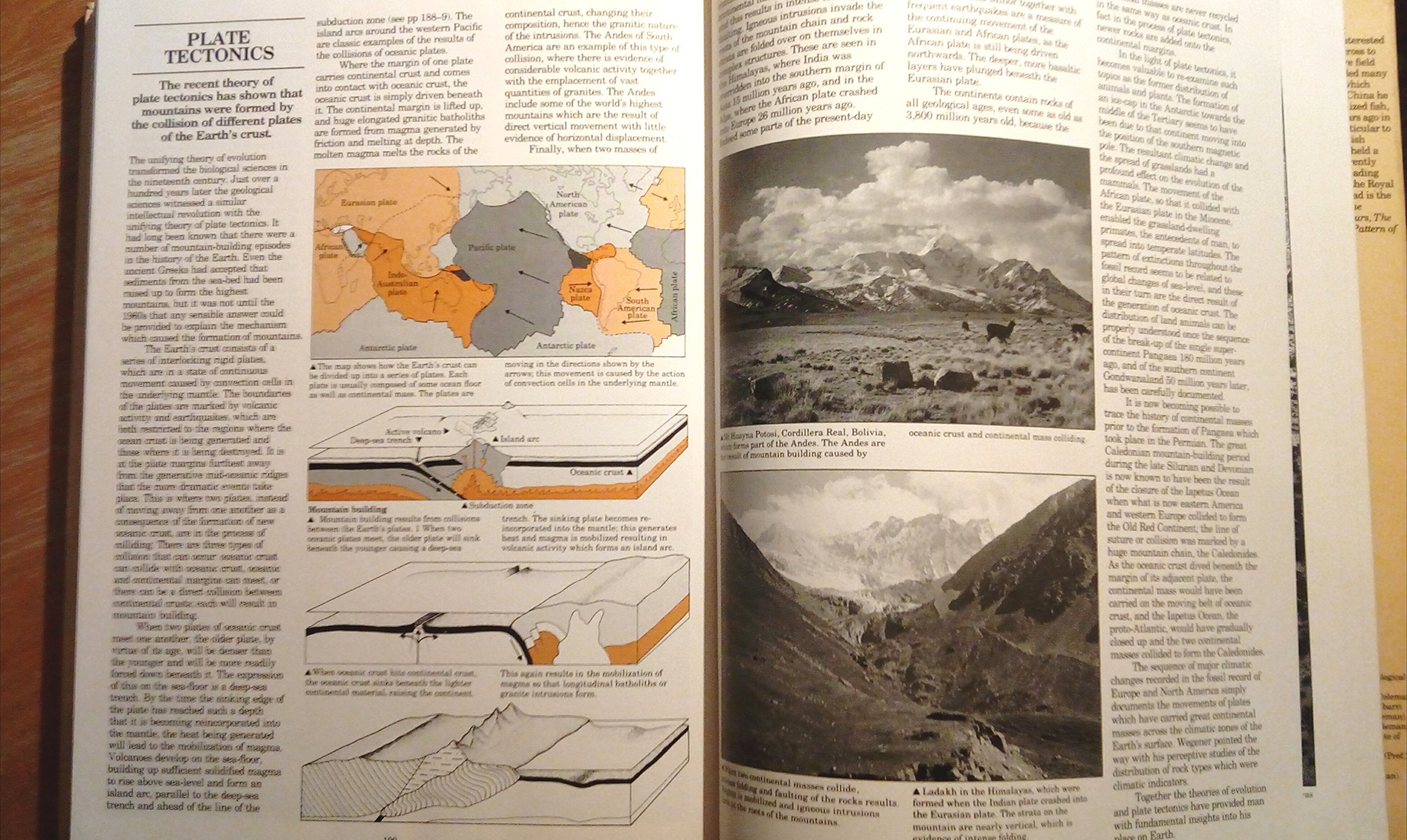 The search for the past: Fossils, rocks, tracks, and trails : the ...