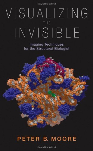 Visualizing the Invisible: Imaging Techniques for the Structural ...